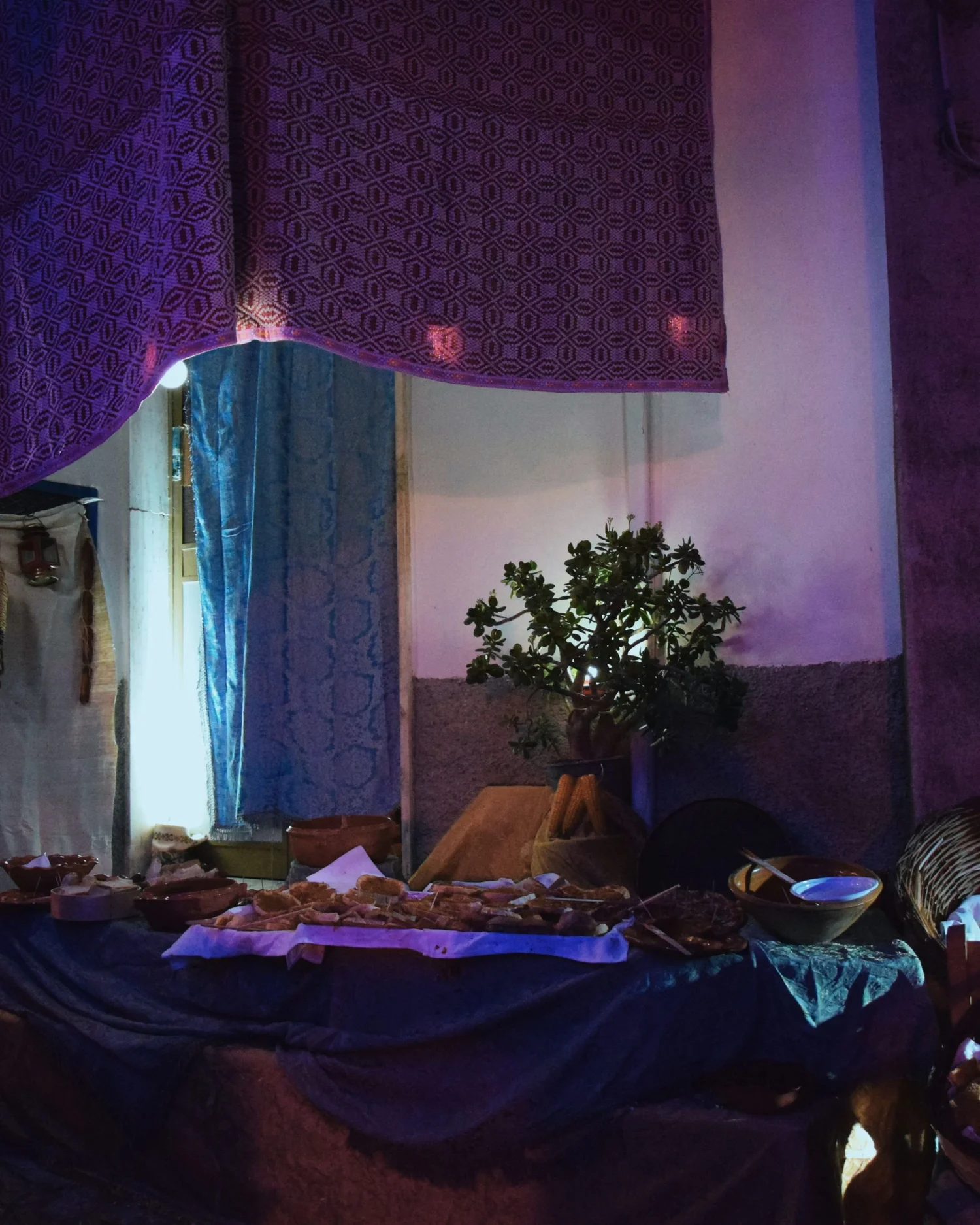 Moon Moth Manor — Alycia Wicker