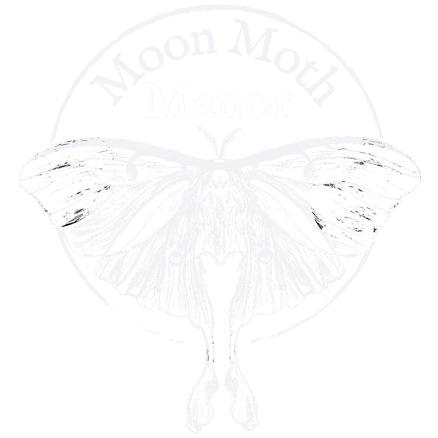 Join The Moon Moth Manor | Discover Insights Today – Join Now — Alycia ...