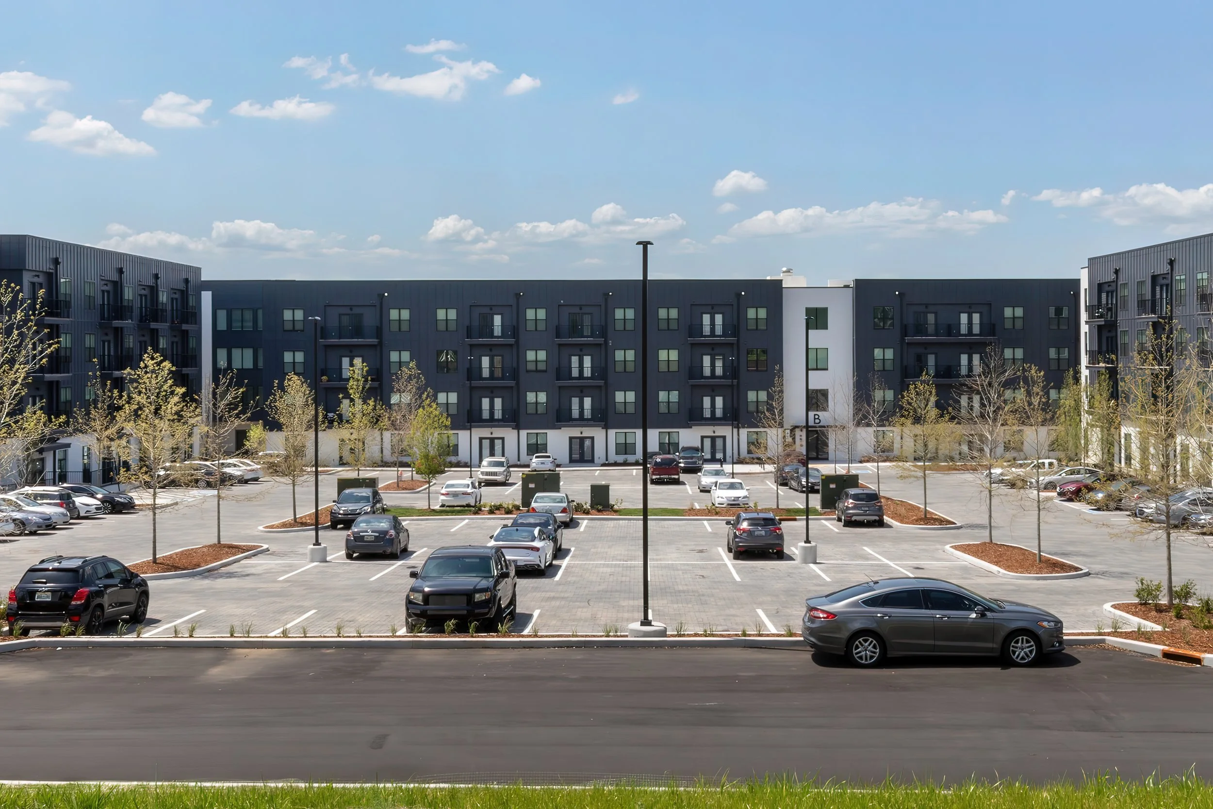 Gallery — North Lights