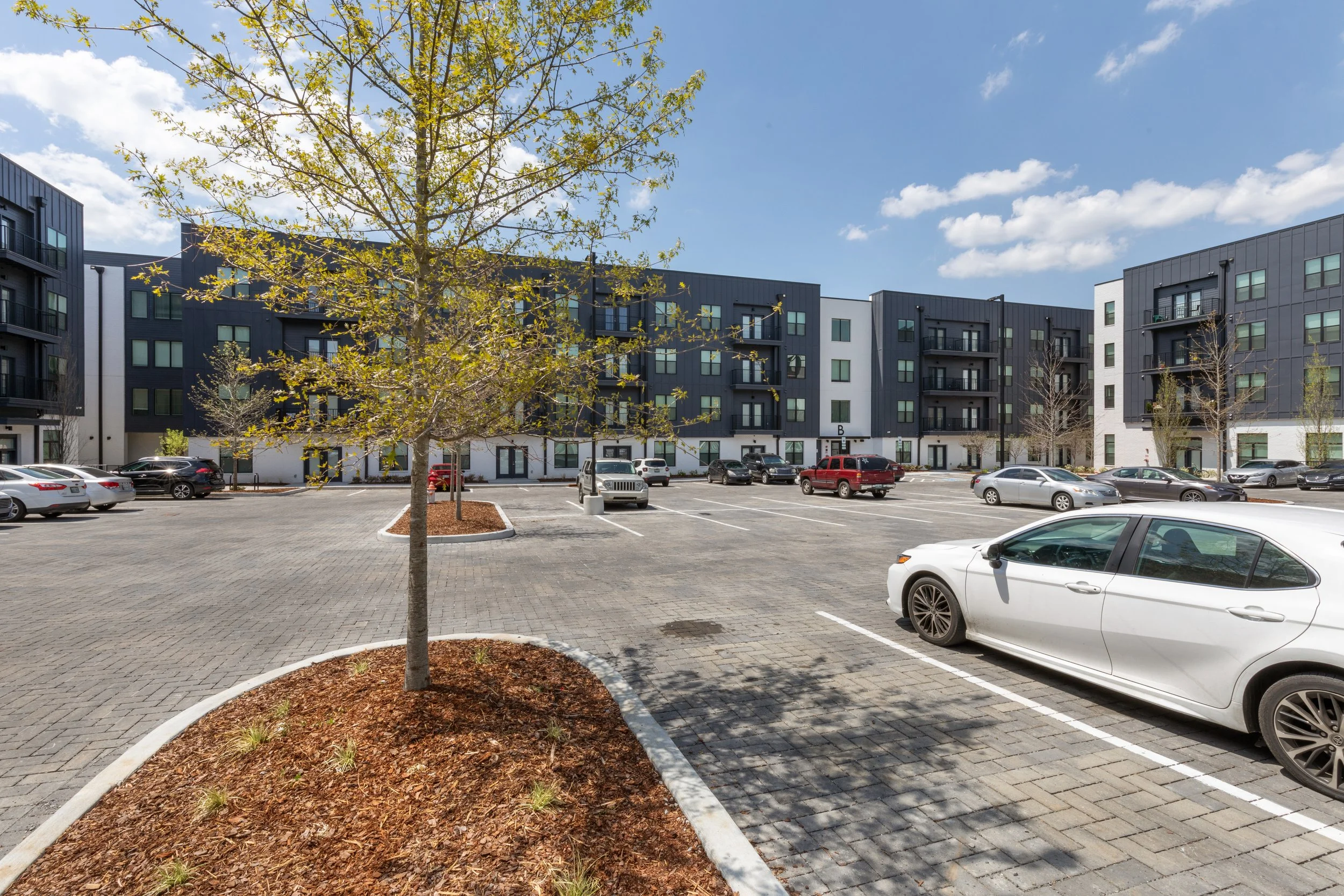 Gallery — North Lights