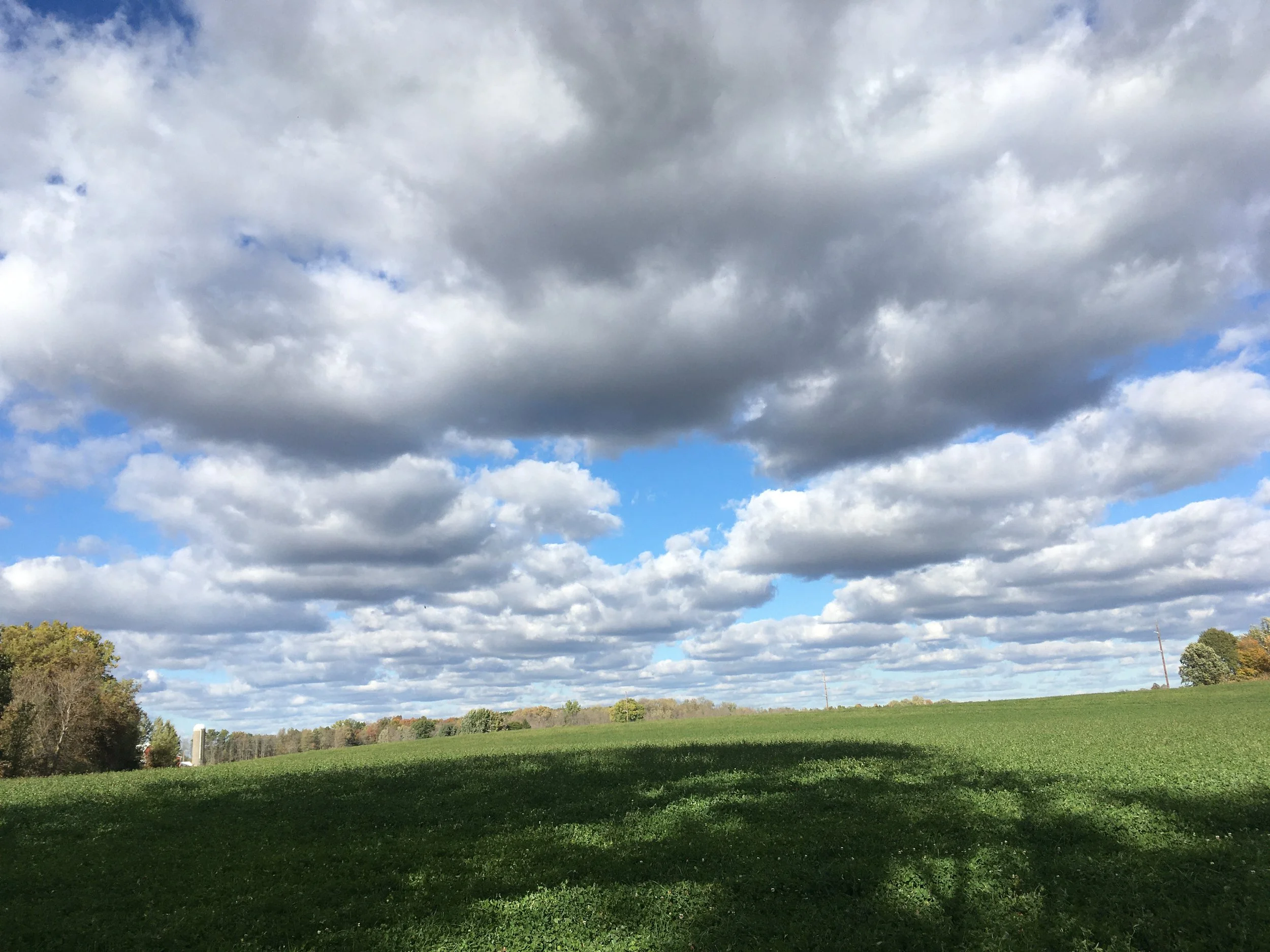 Us — Wolf and Fox Winery