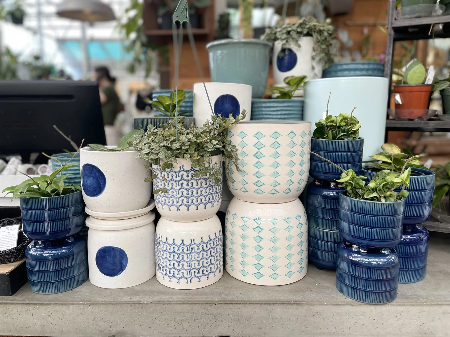 Greenhouse and gift shop in West Seattle — West Seattle Nursery