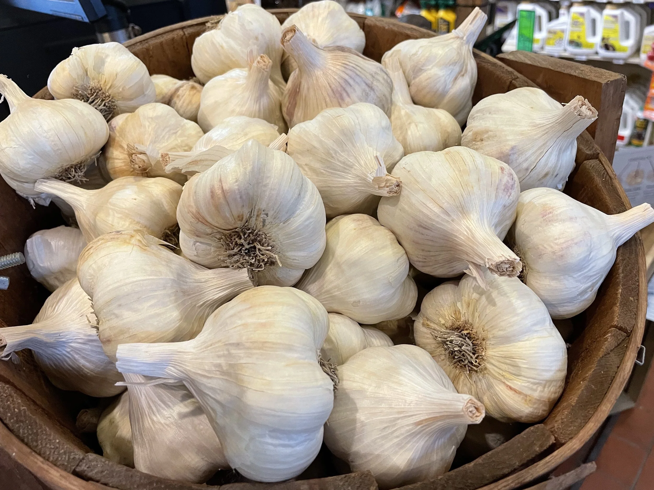 West Seattle Nursery