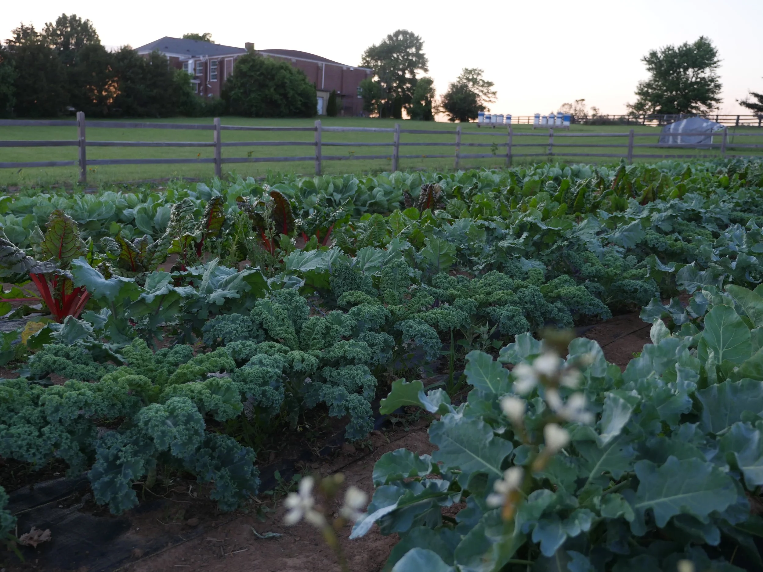 Dine — The Kentucky Castle