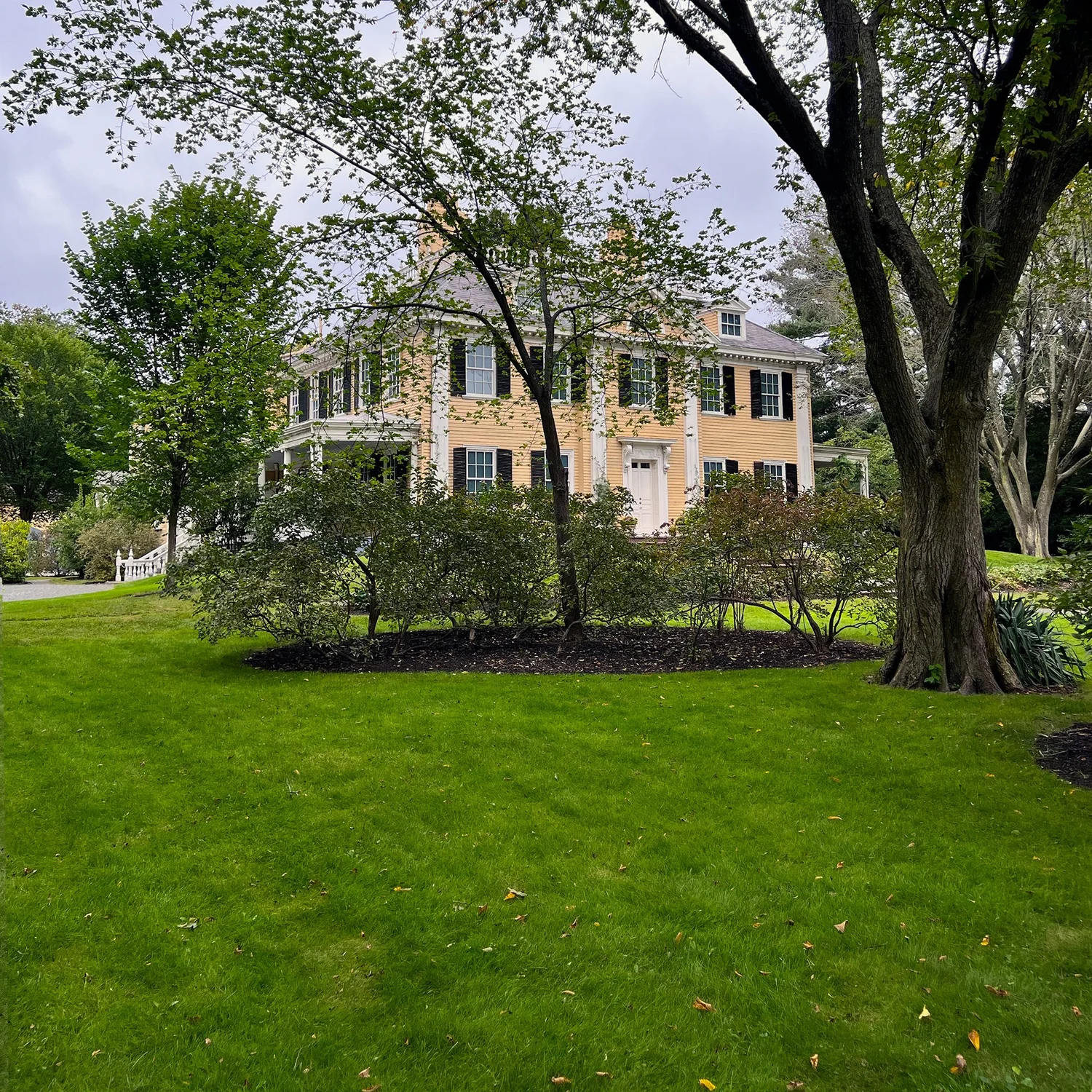 Friends of the Longfellow House–Washington's Headquarters