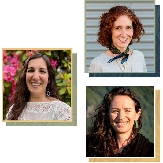 Integral Coach Collective