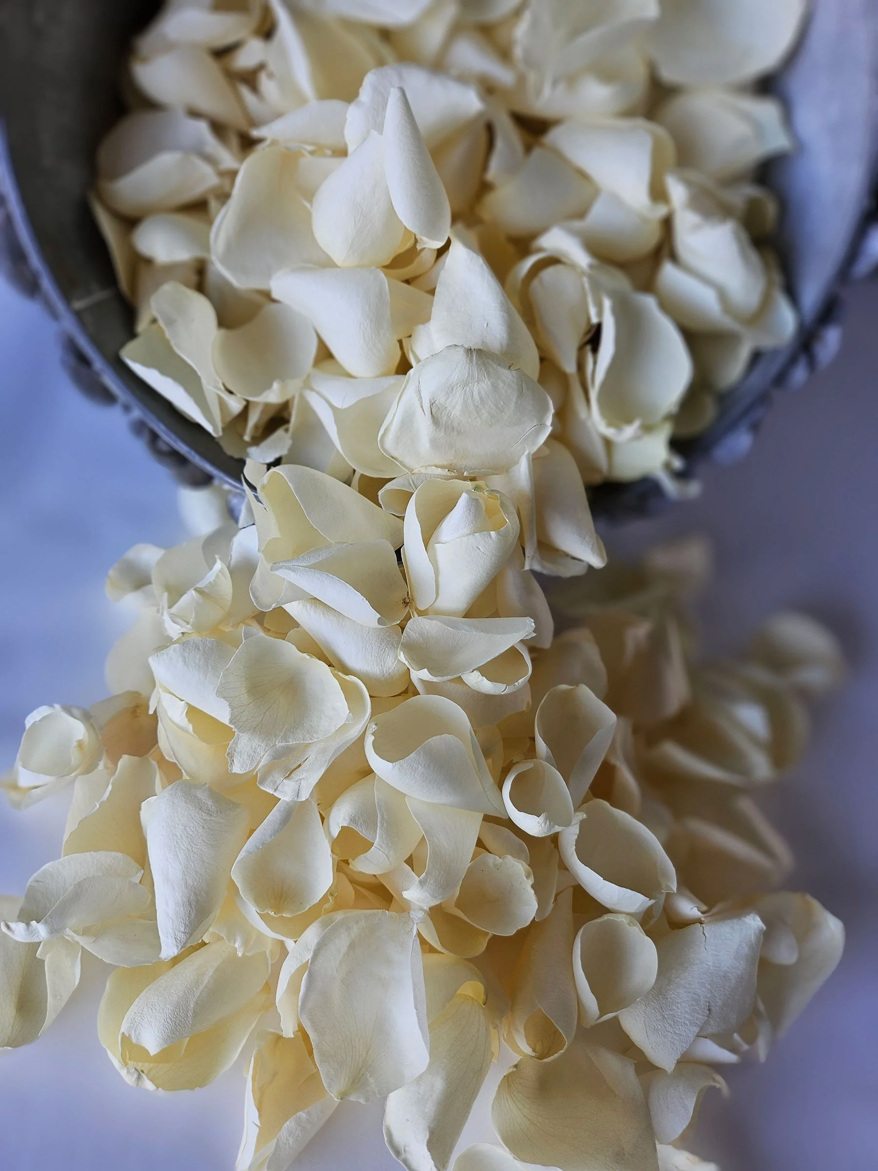 Freeze-Dried Rose & Hydrangea Petals | Church Confetti NZ