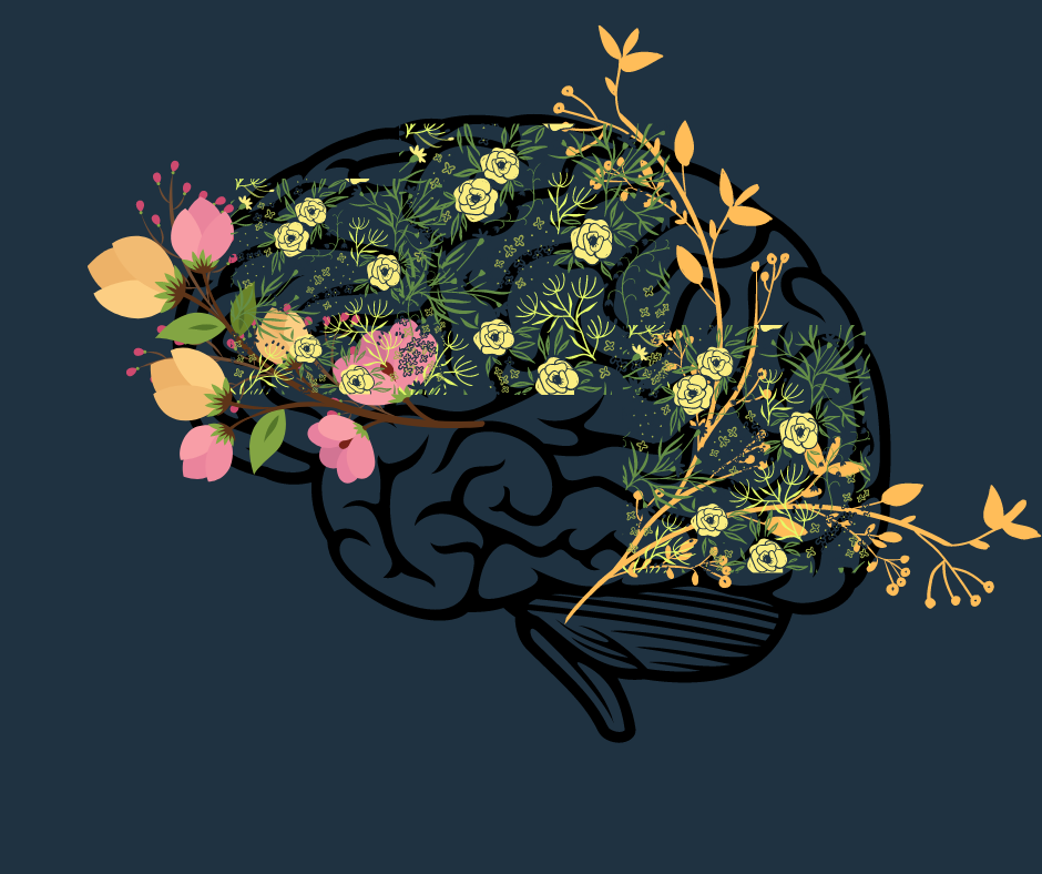 The Beginners Guide to working with your brain’s chemicals. — Symbiotic ...