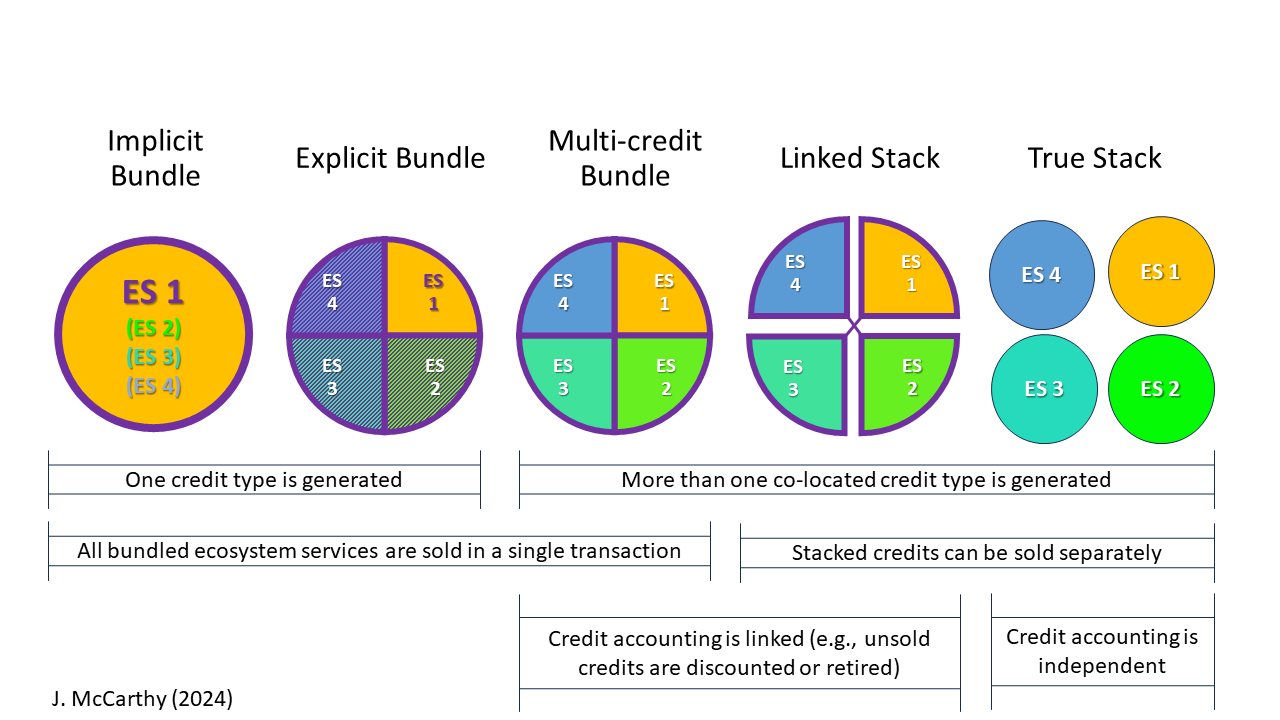 Stacking and Bundling in Biodiversity Credit Markets — Environmental ...