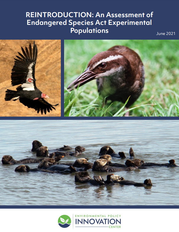 An Assessment of Endangered Species Act Experimental Populations ...