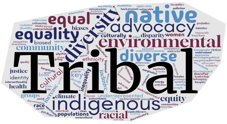 Federal Policy Shifts Impact Tribal Funding Access and Environmental ...