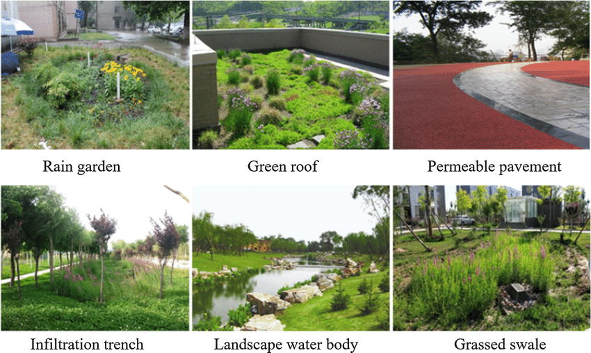 Green Infrastructure and Houselessness Blog Series: Part 1 -An ...
