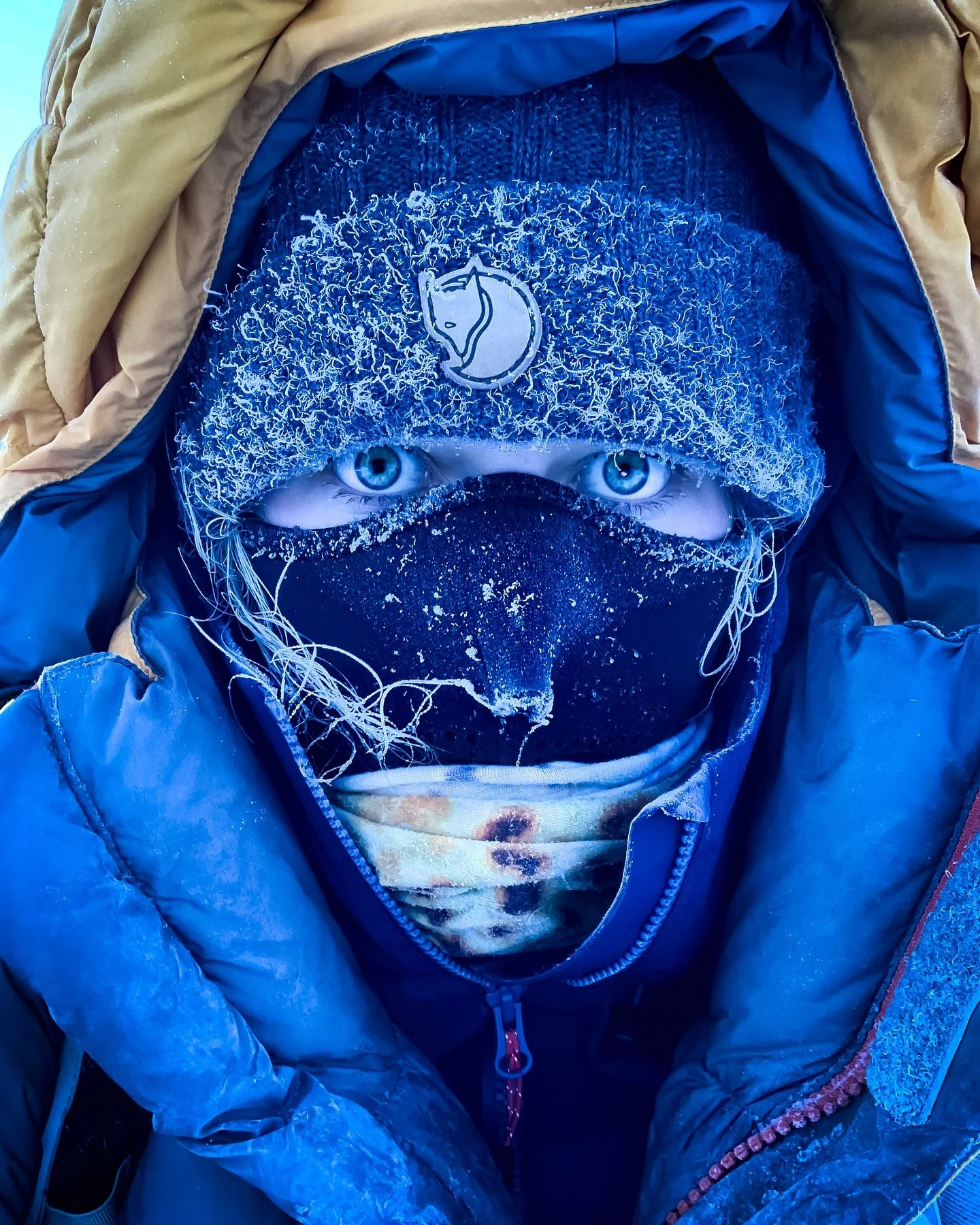 Exploration — Lucy Shepherd