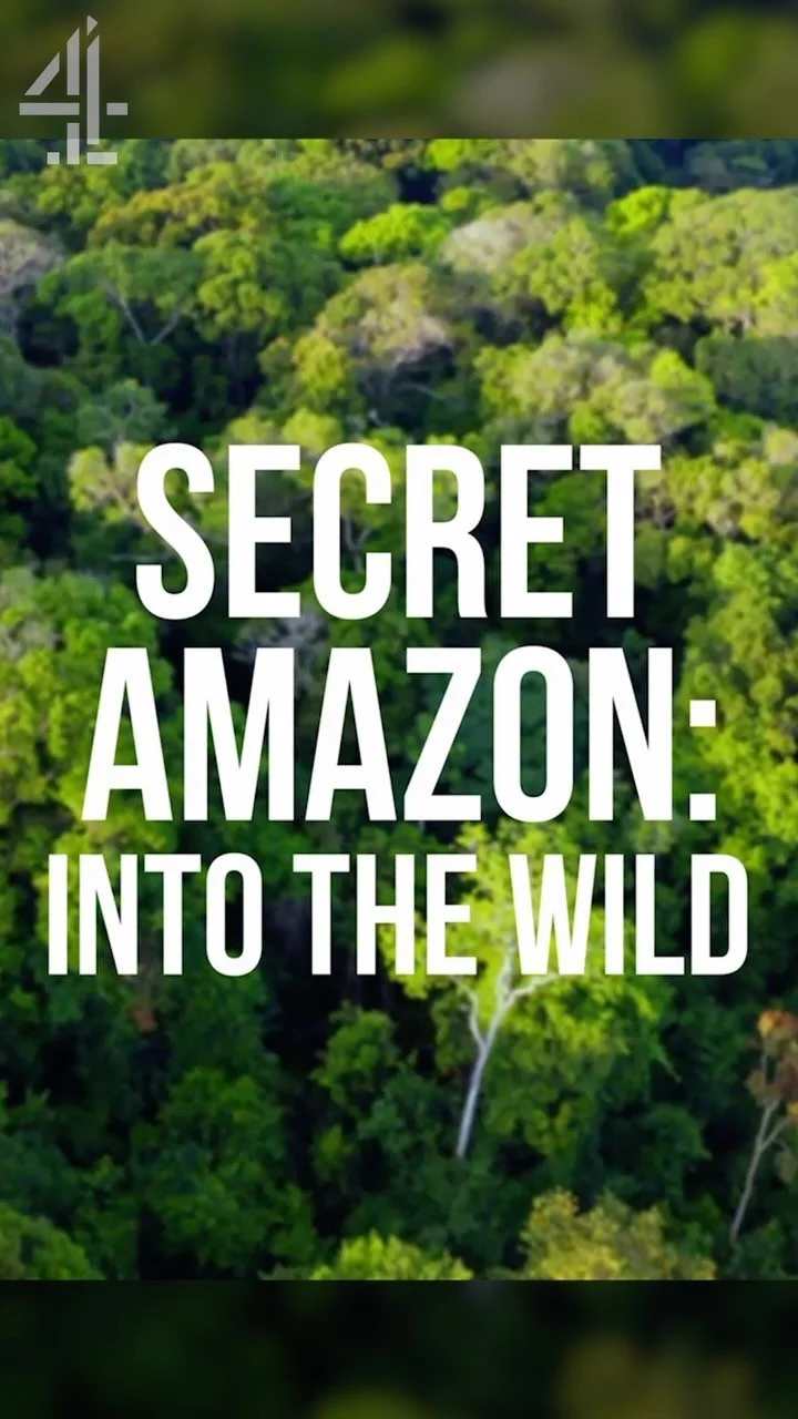 Exploration — Lucy Shepherd