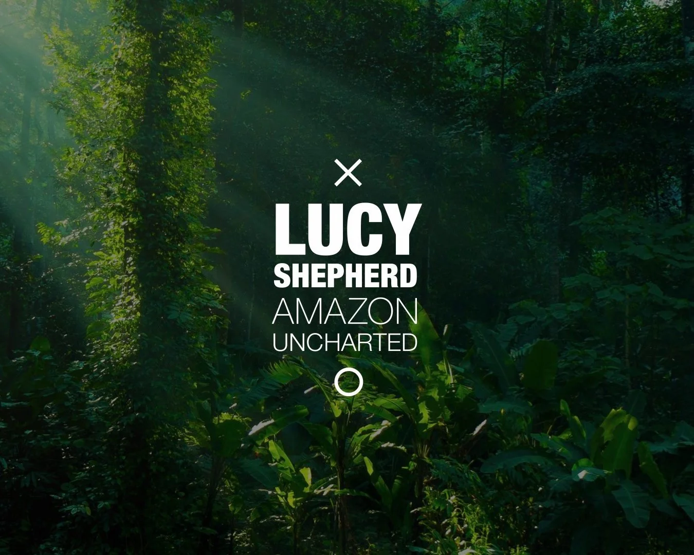 Jungle Expeditions — Lucy Shepherd