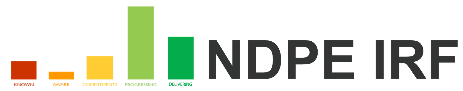 NDPE Implementation Reporting Framework