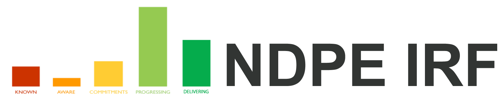 NDPE Implementation Reporting Framework