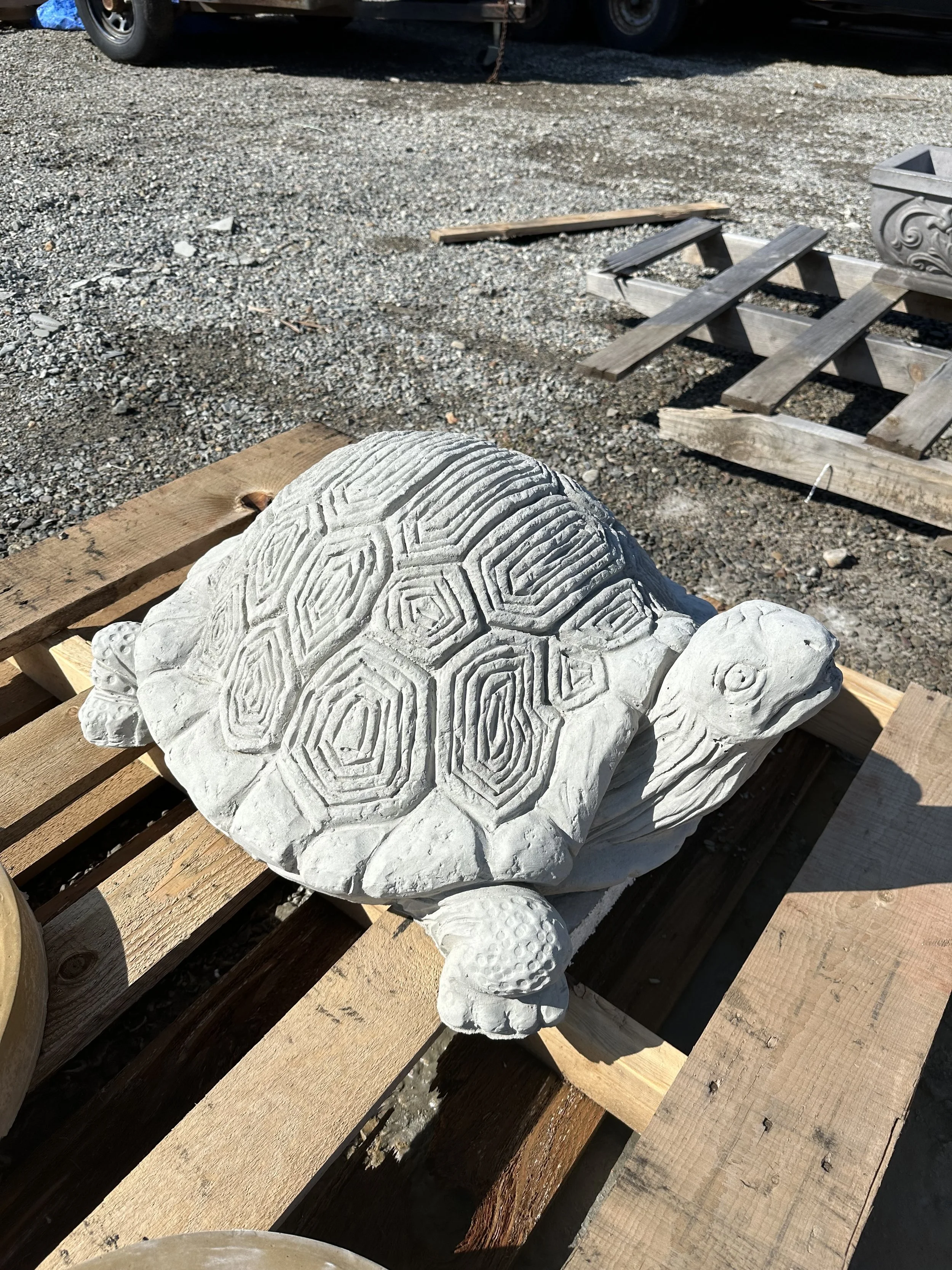Extra Large Turtle — Spokane Precast, Concrete Products