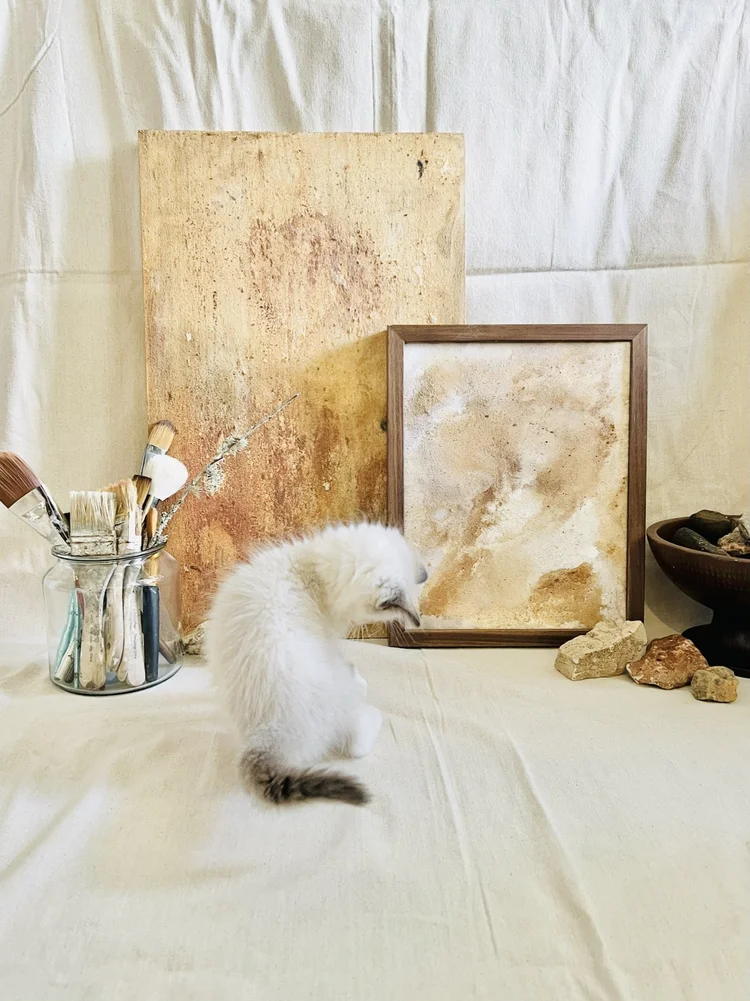 A Behind the Scenes Look at a Nature Inspired Collection of Original ...