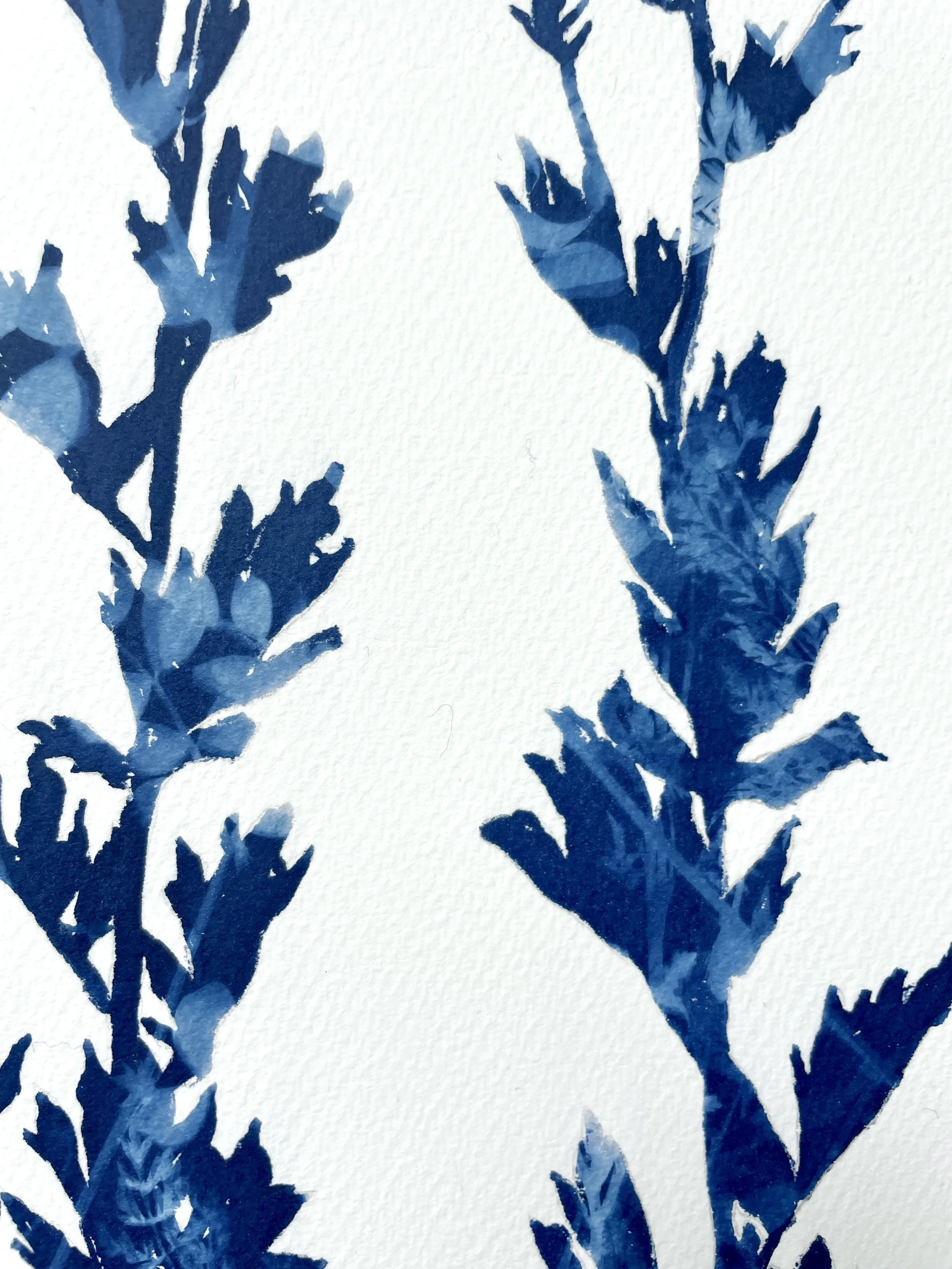 monochromatic blue botanical cyanotype prints by Christine So ...