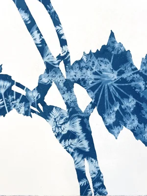 monochromatic blue botanical cyanotype prints by Christine So ...