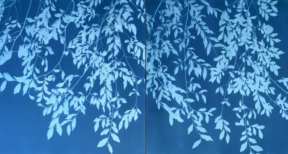 monochromatic blue botanical cyanotype prints by Christine So ...