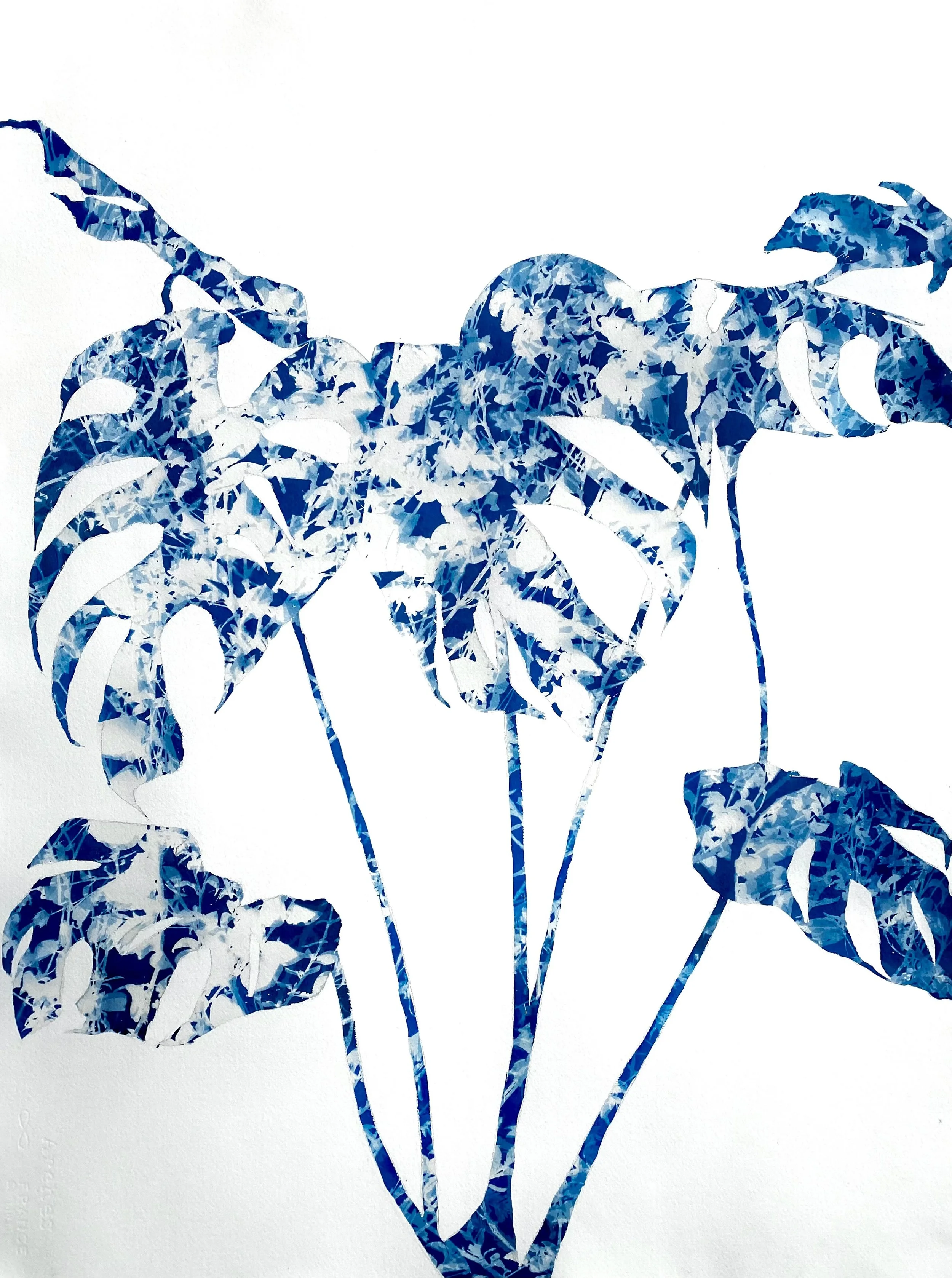 monochromatic blue botanical cyanotype prints by Christine So ...