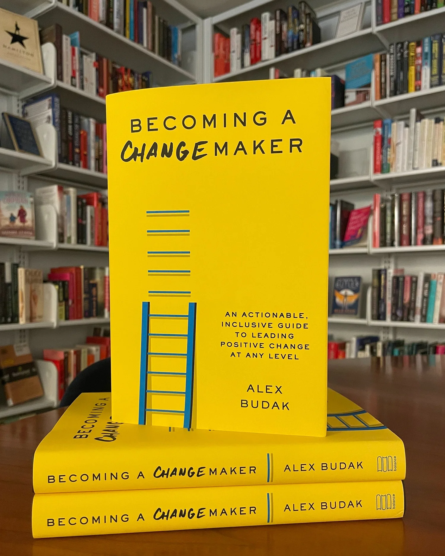 Book - Becoming a Changemaker