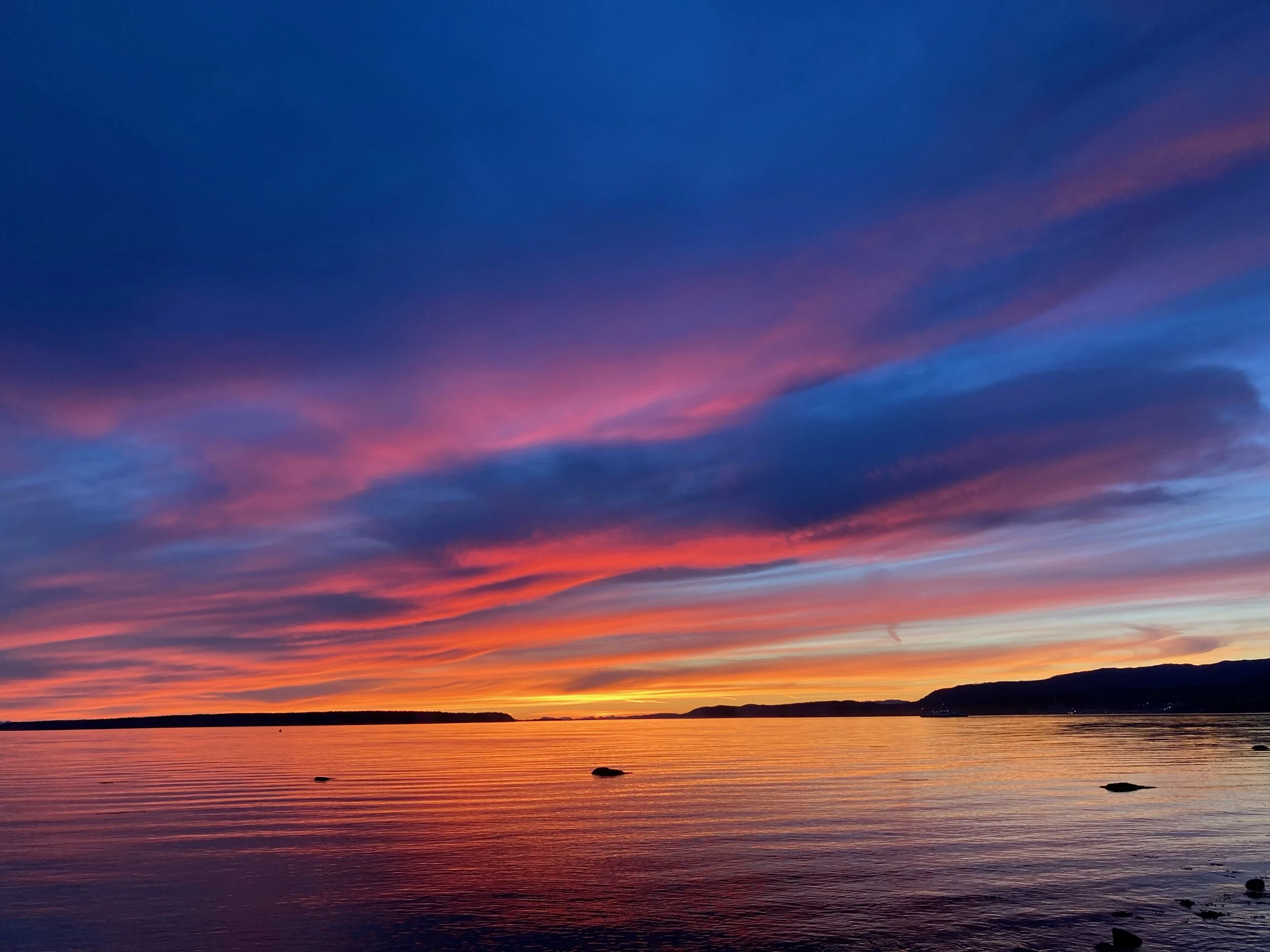 Charts — Murray Forbes