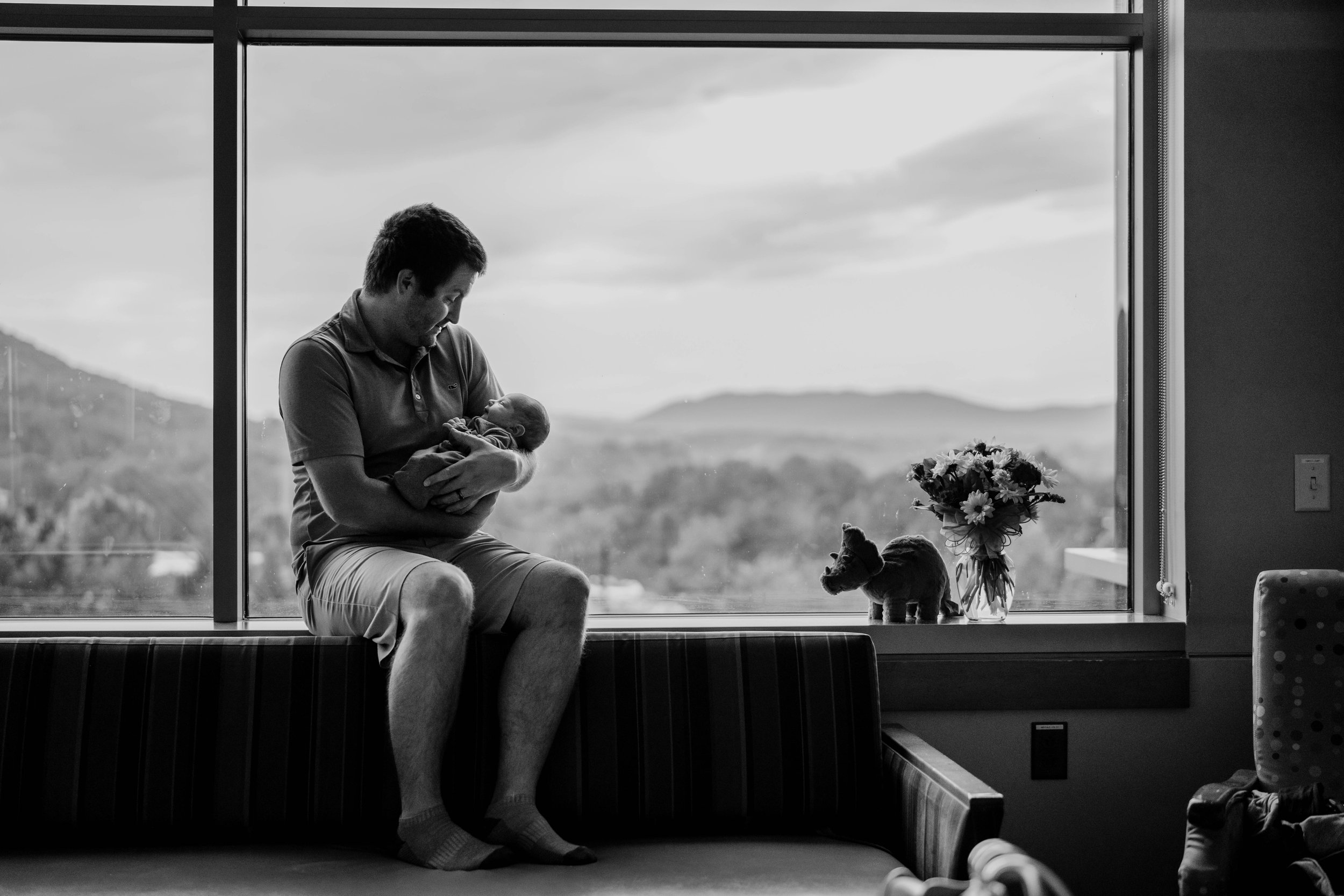 Gallery 3 — Bee Still Photography