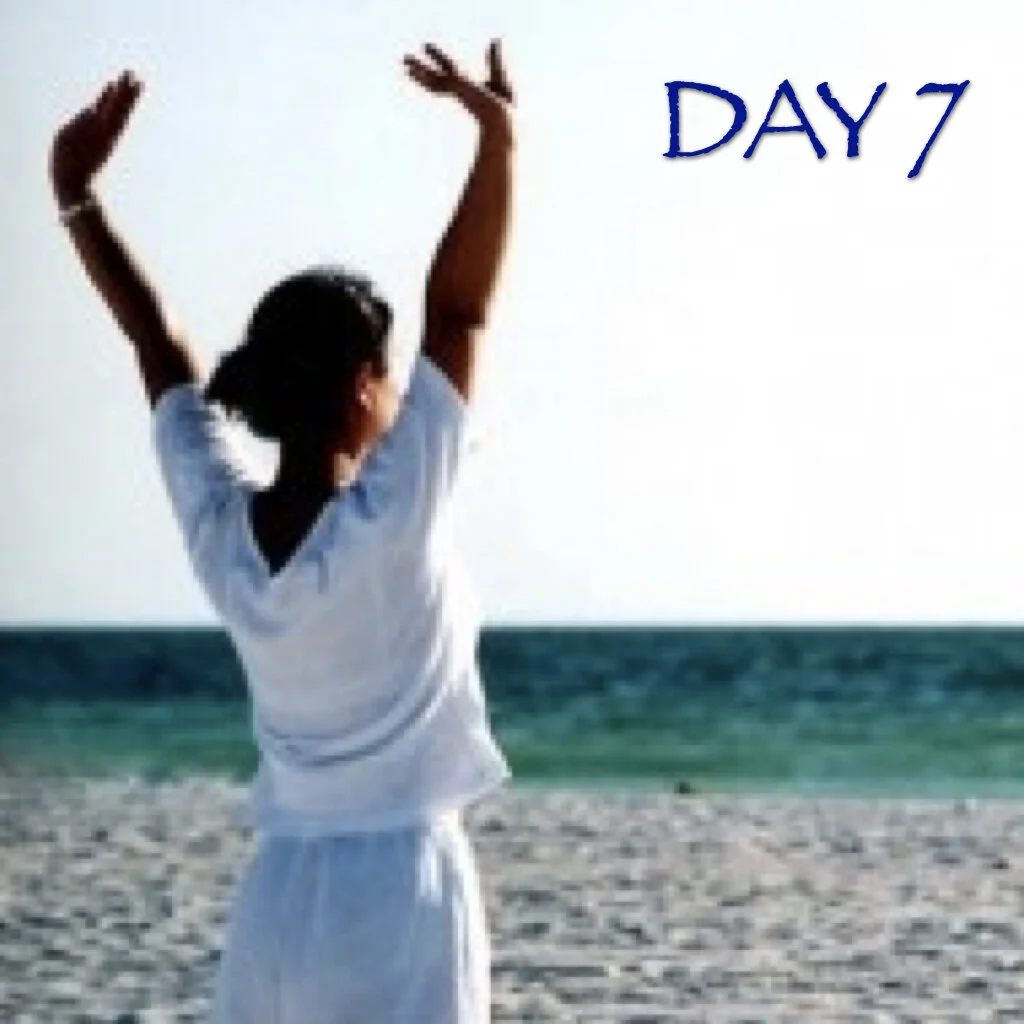 Day 7: Online Course - Falun Dafa 9-Days Lecture + Learning Exercises