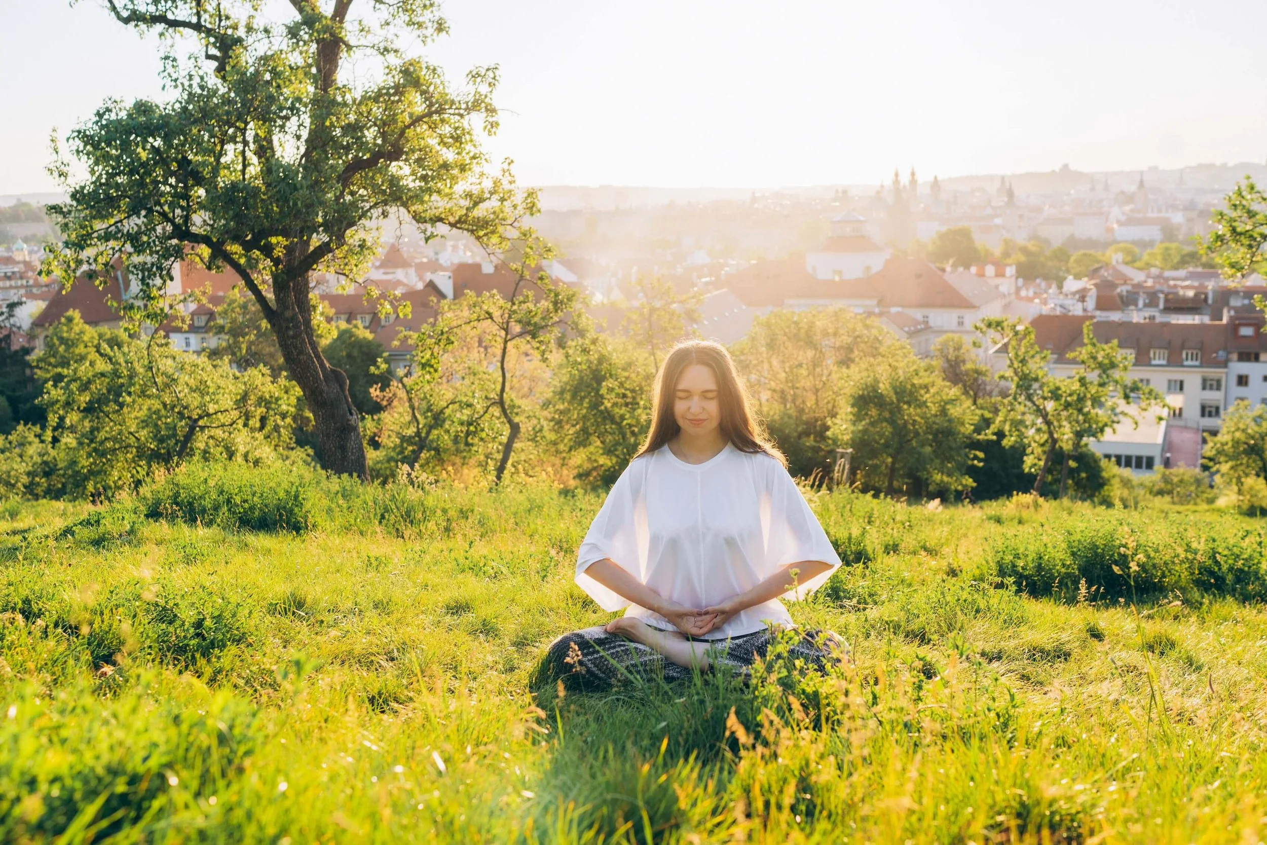 Join the 9-Day Falun Dafa Online Video Seminar Online