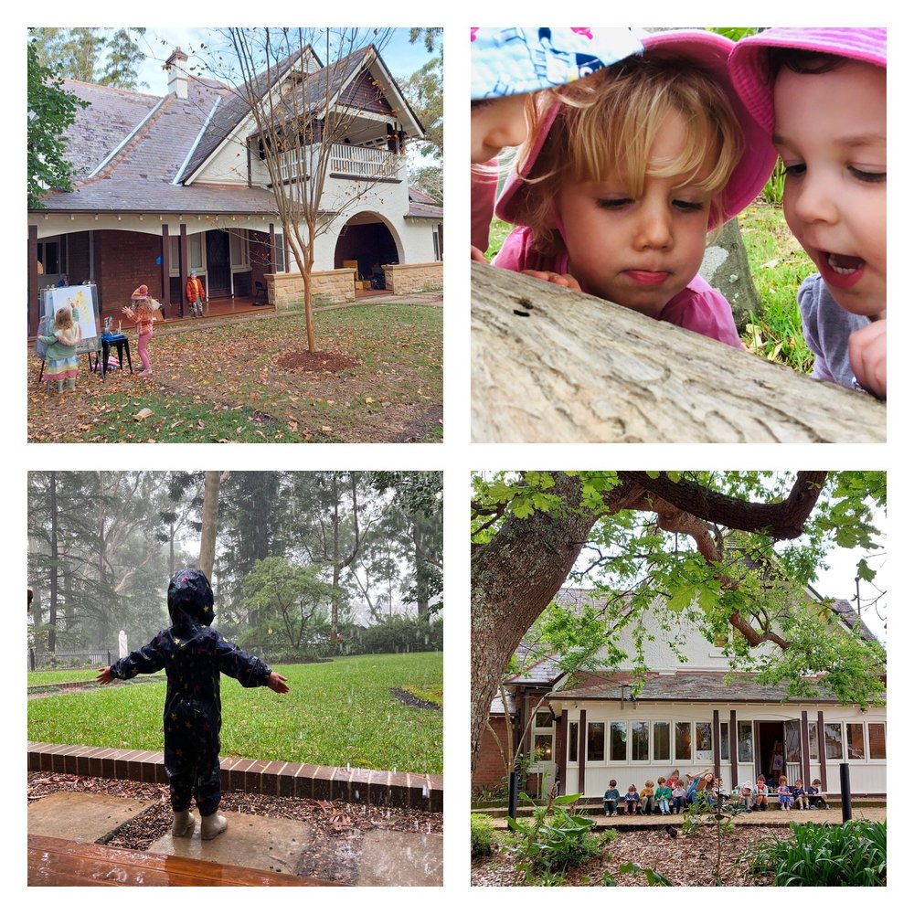 Blue Gum Community School Hornsby - Preschool
