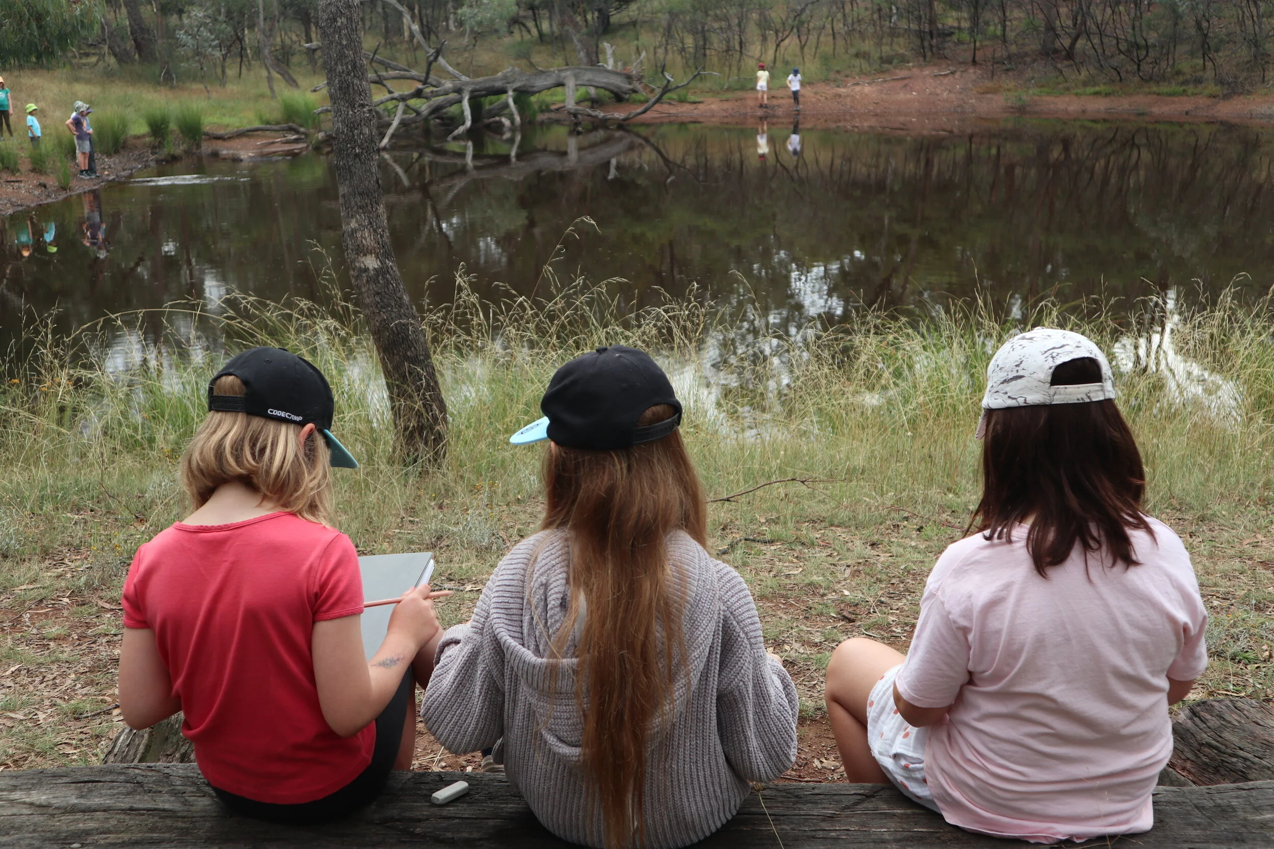 Blue Gum Community School Hornsby