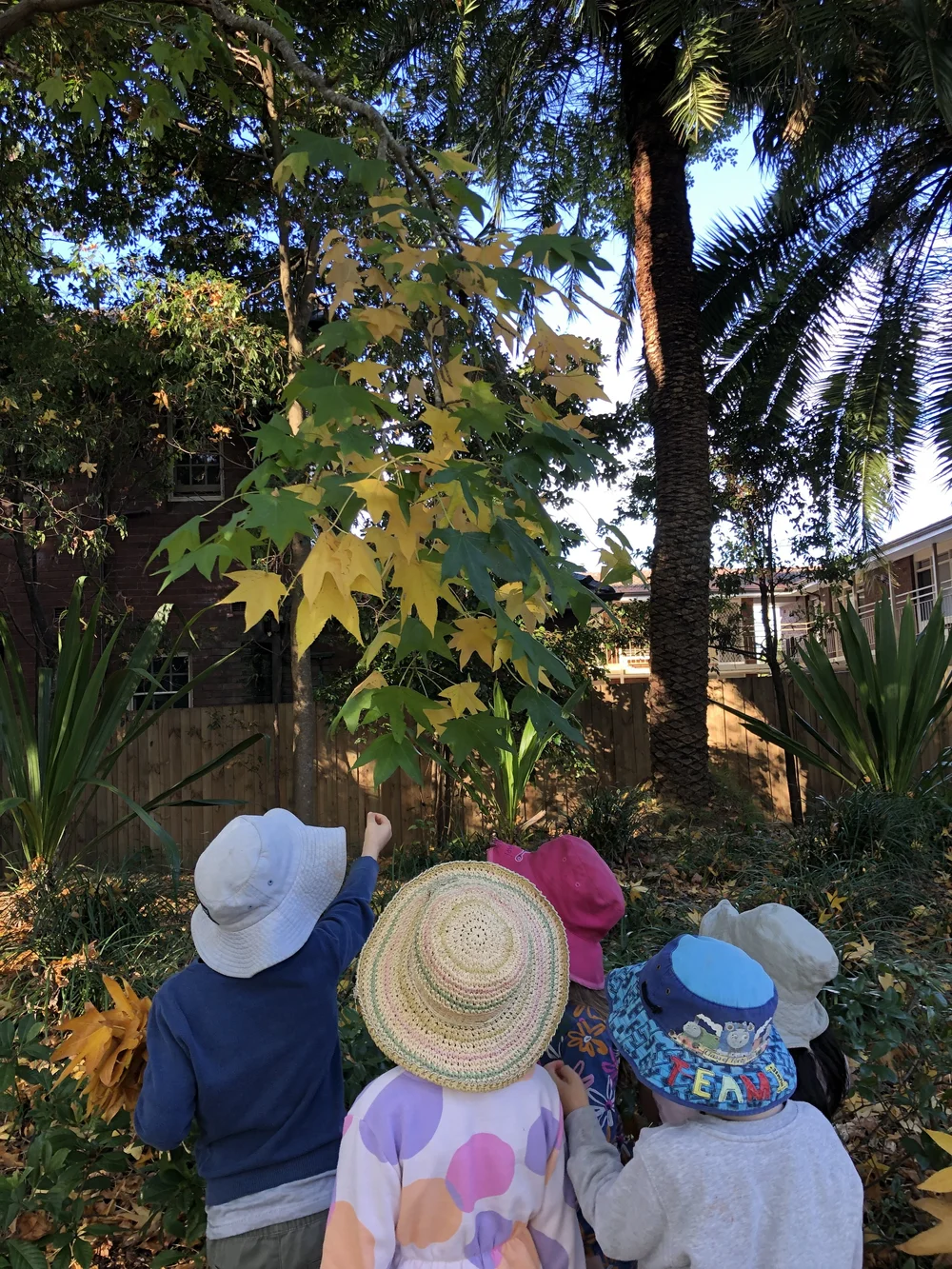 Blue Gum Community School Hornsby