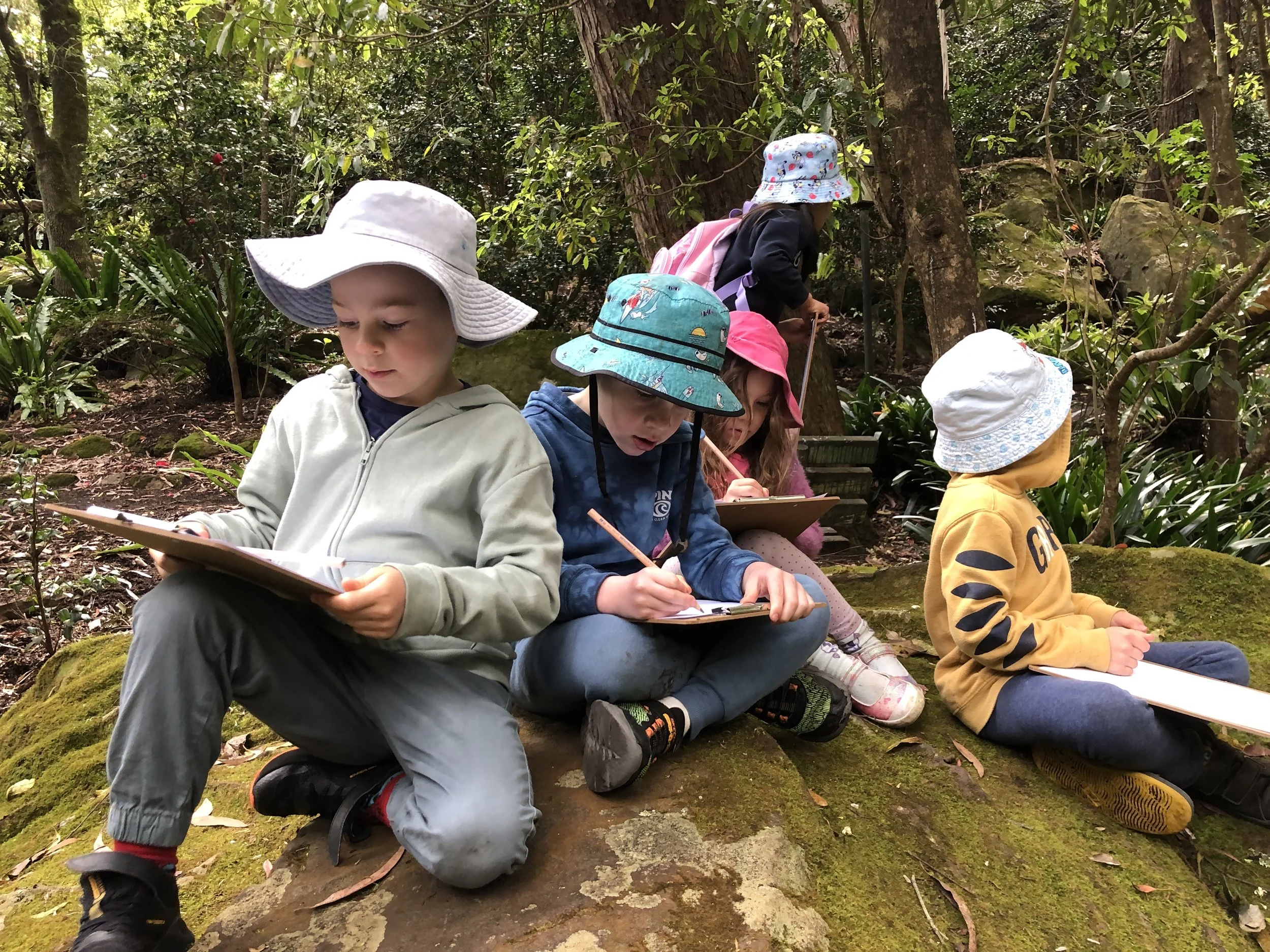 Blue Gum Community School Hornsby