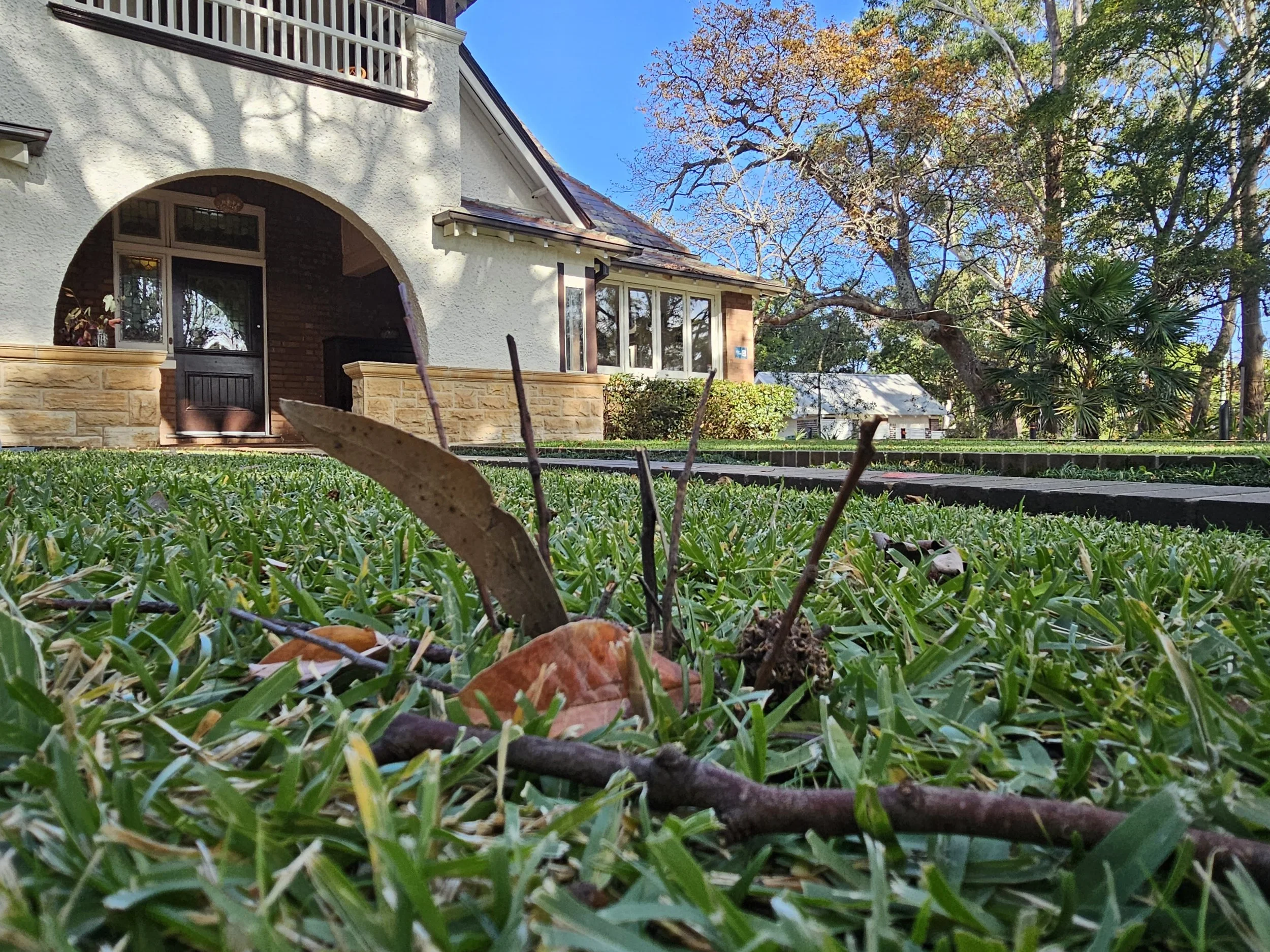 Blue Gum Community School Hornsby