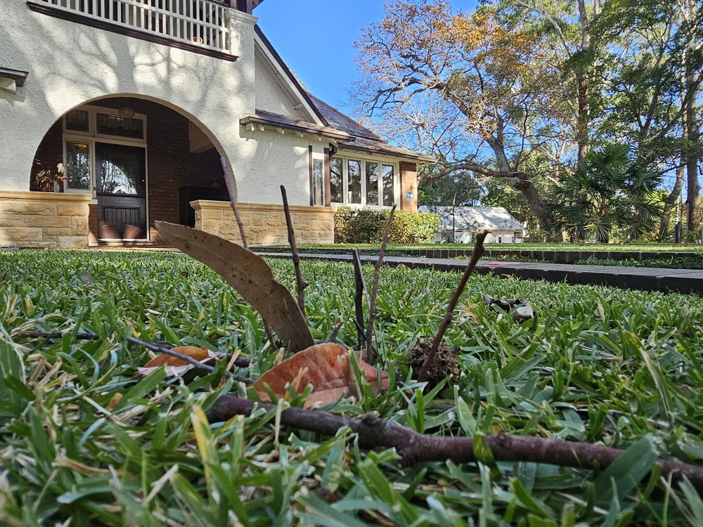 Blue Gum Community School Hornsby