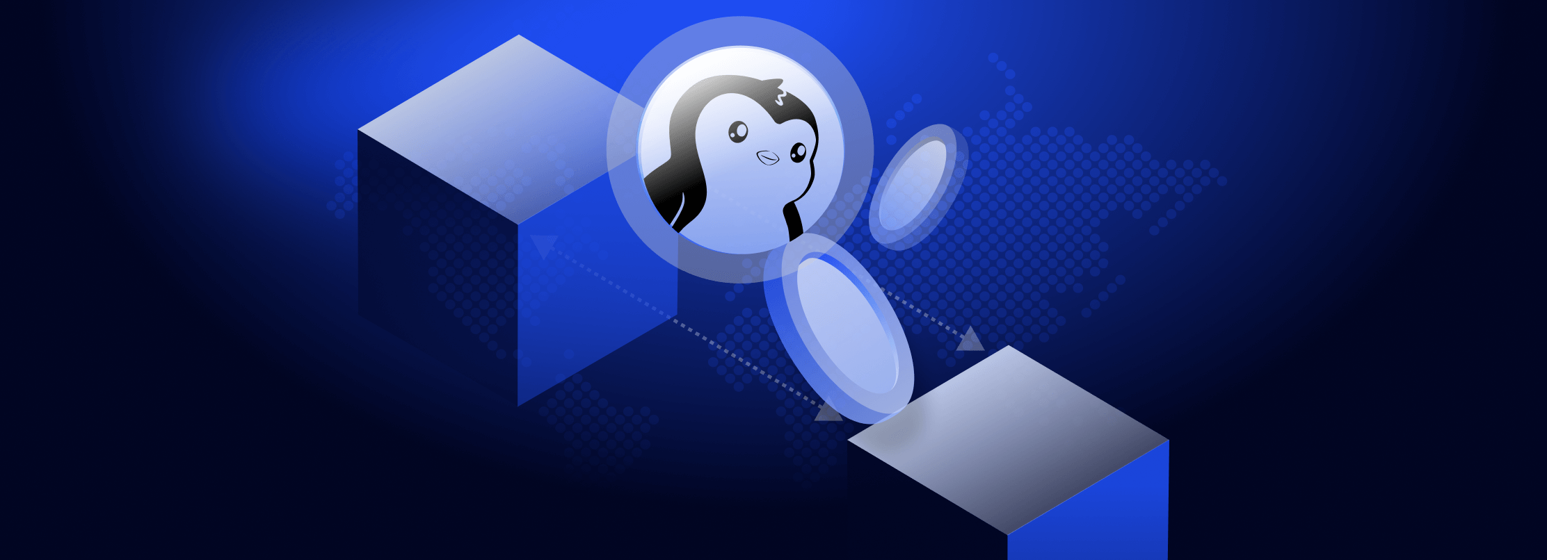 Pudgy Penguins 101: Understanding the Project and PENGU Token — VALR