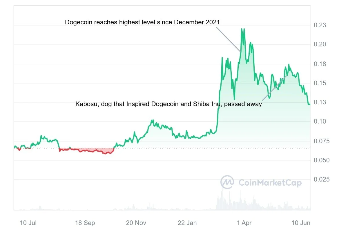 A Beginner's Guide to the Top 5 Memecoins by Trading Volume — VALR