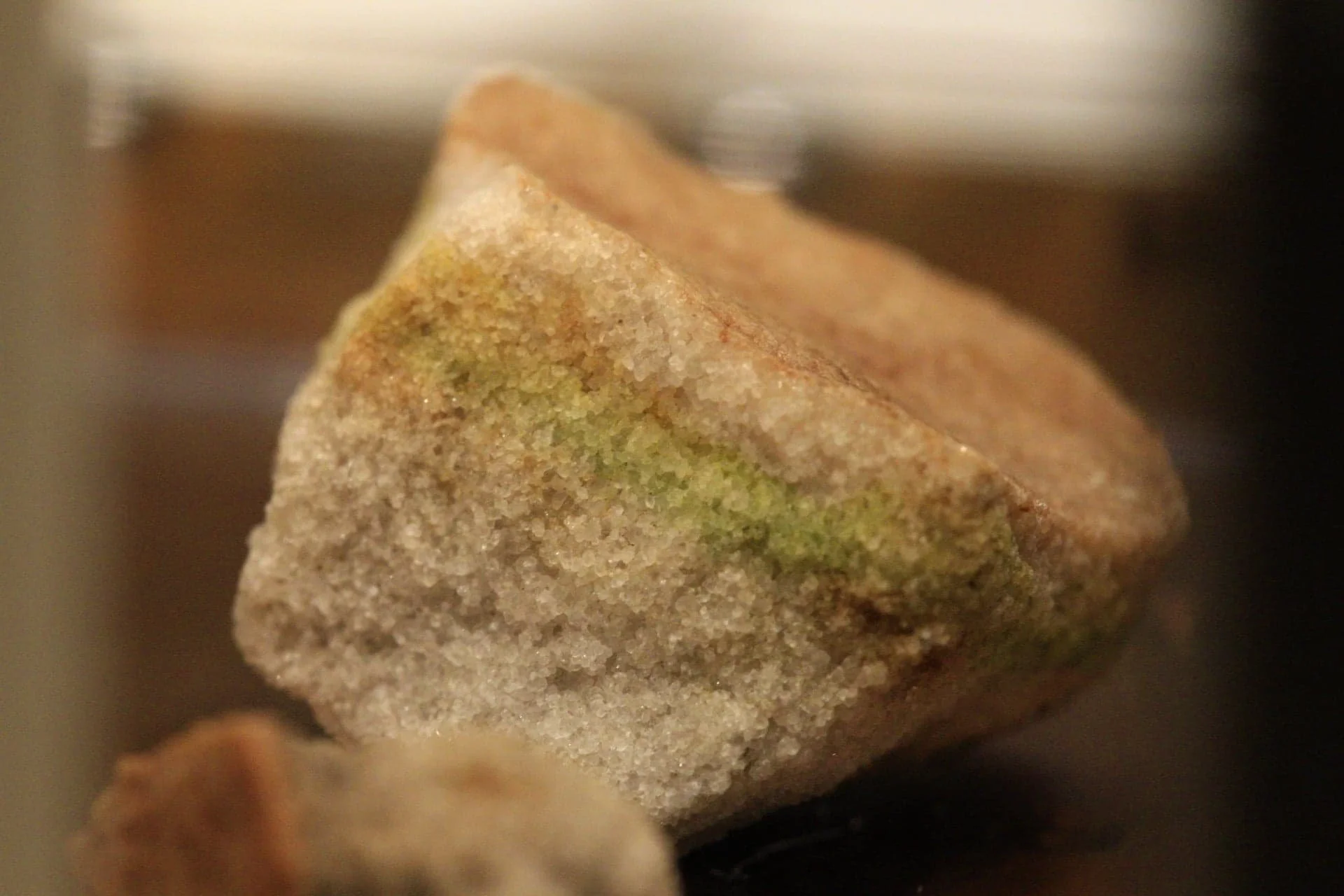 Astrobiology Revealed #12: Catherine Maggiori — SAGANet