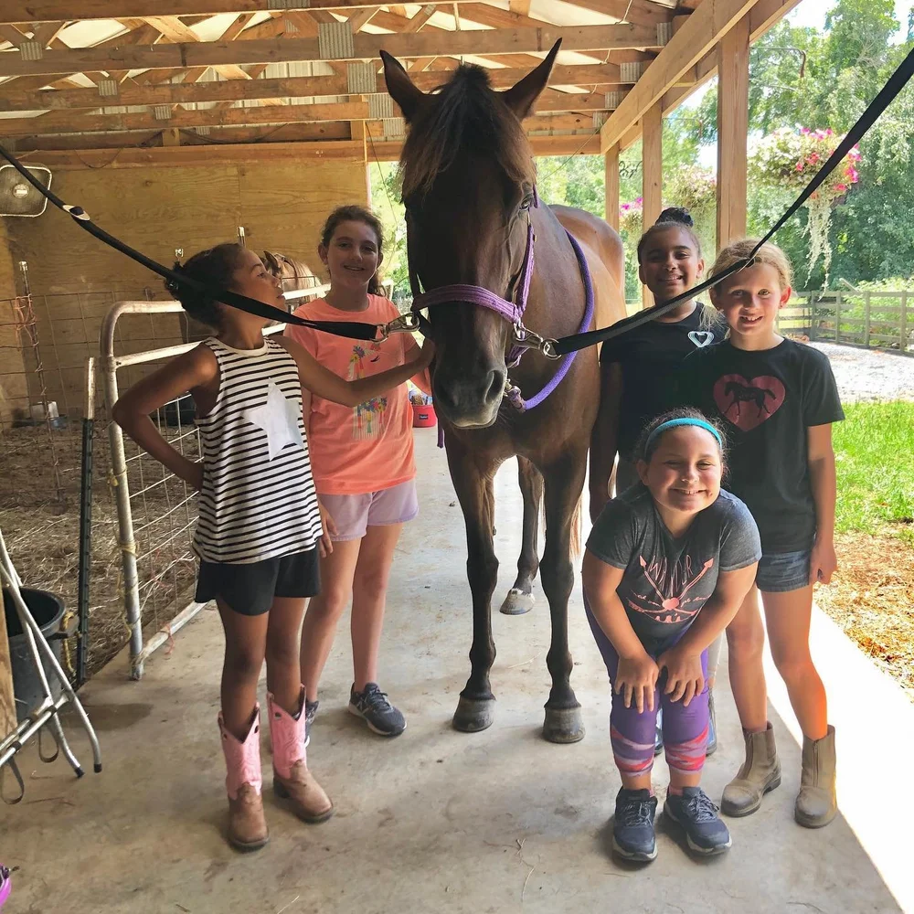 Camps — Dutch Acres Farm