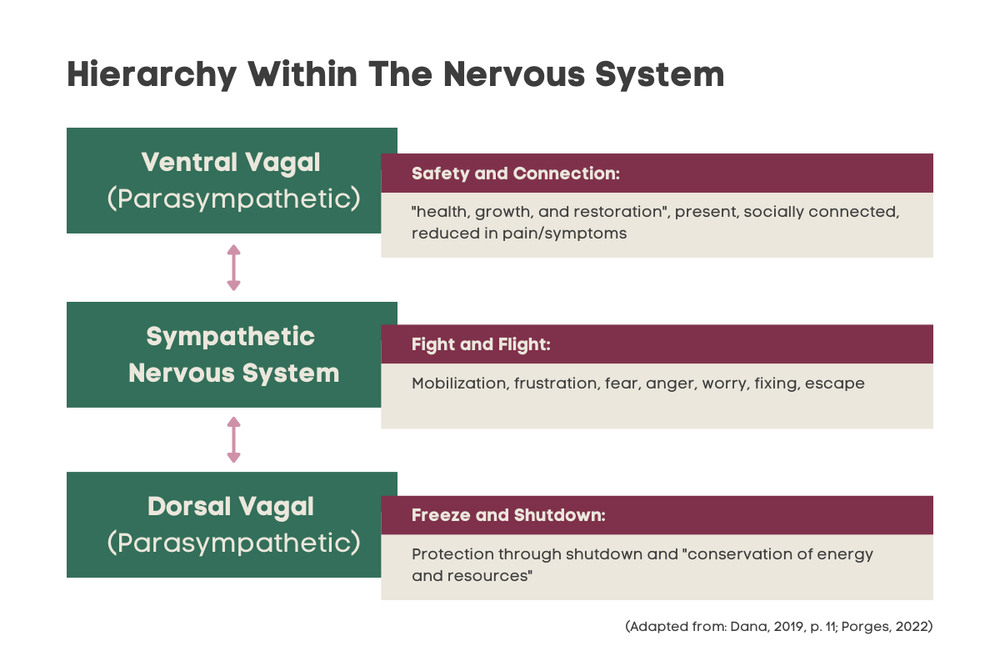 Polyvagal Theory and Chronic Pain and Symptoms — Pain Psychotherapy ...