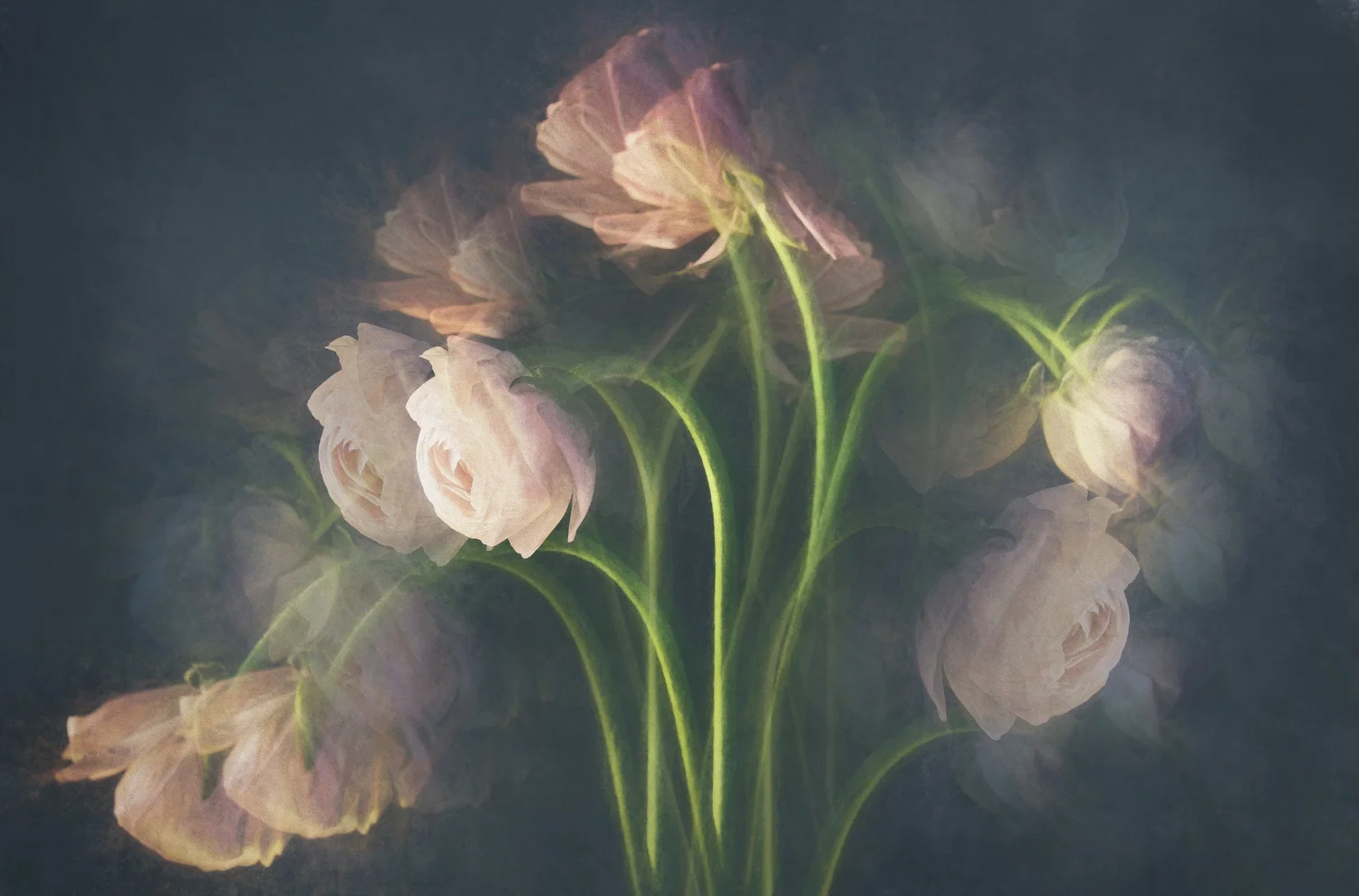 Flora — Leanne Trivett S.