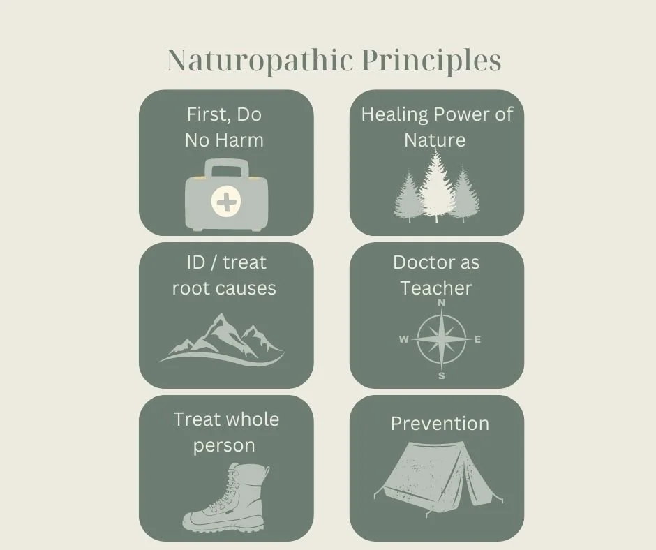 About Naturopathic Medicine — Mountainside Natural Health, LLC