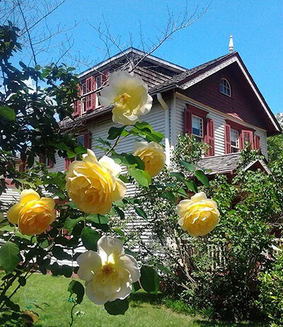 Visit the Lewis Latimer Permanent Exhibition — Lewis Latimer House