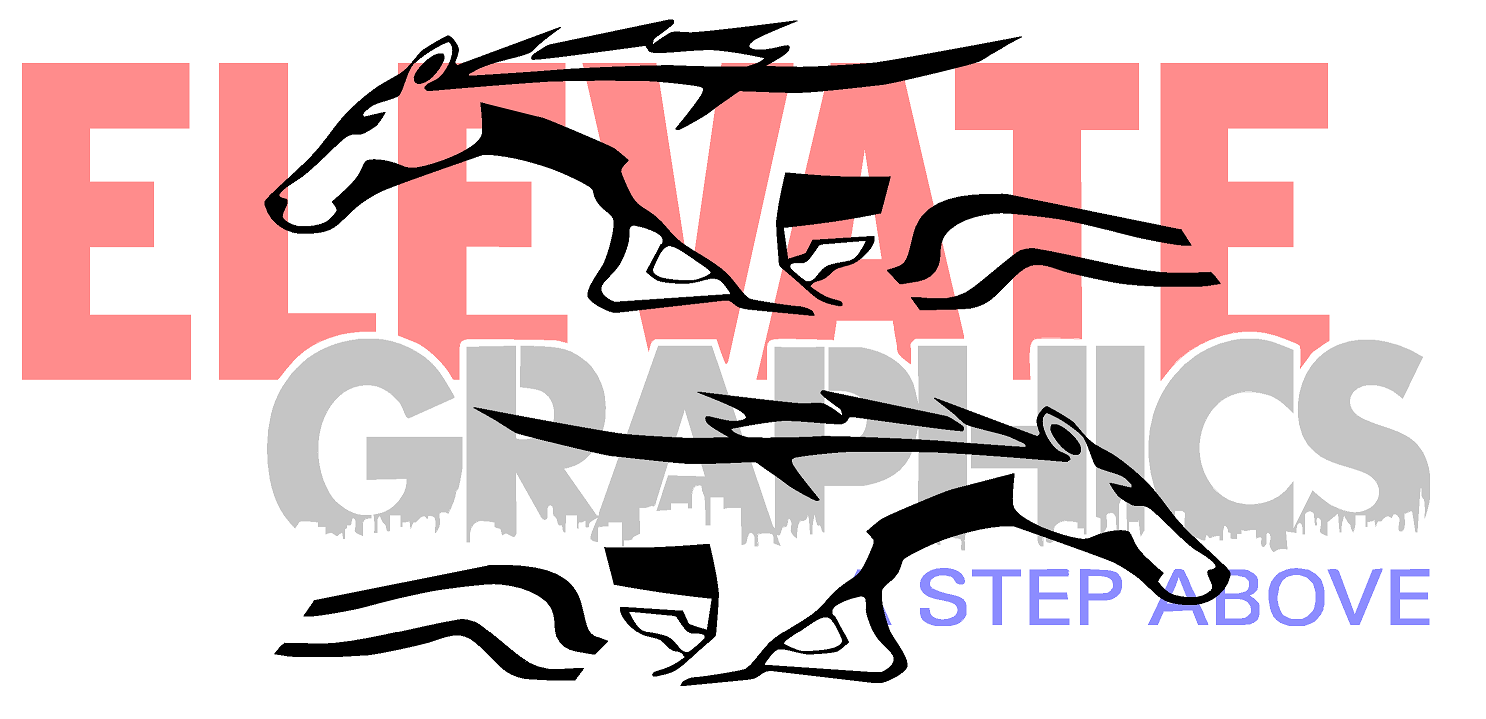 Ford Mustang Side Freedom Stripes: Auto Vinyl Graphics 3M Decals And ...