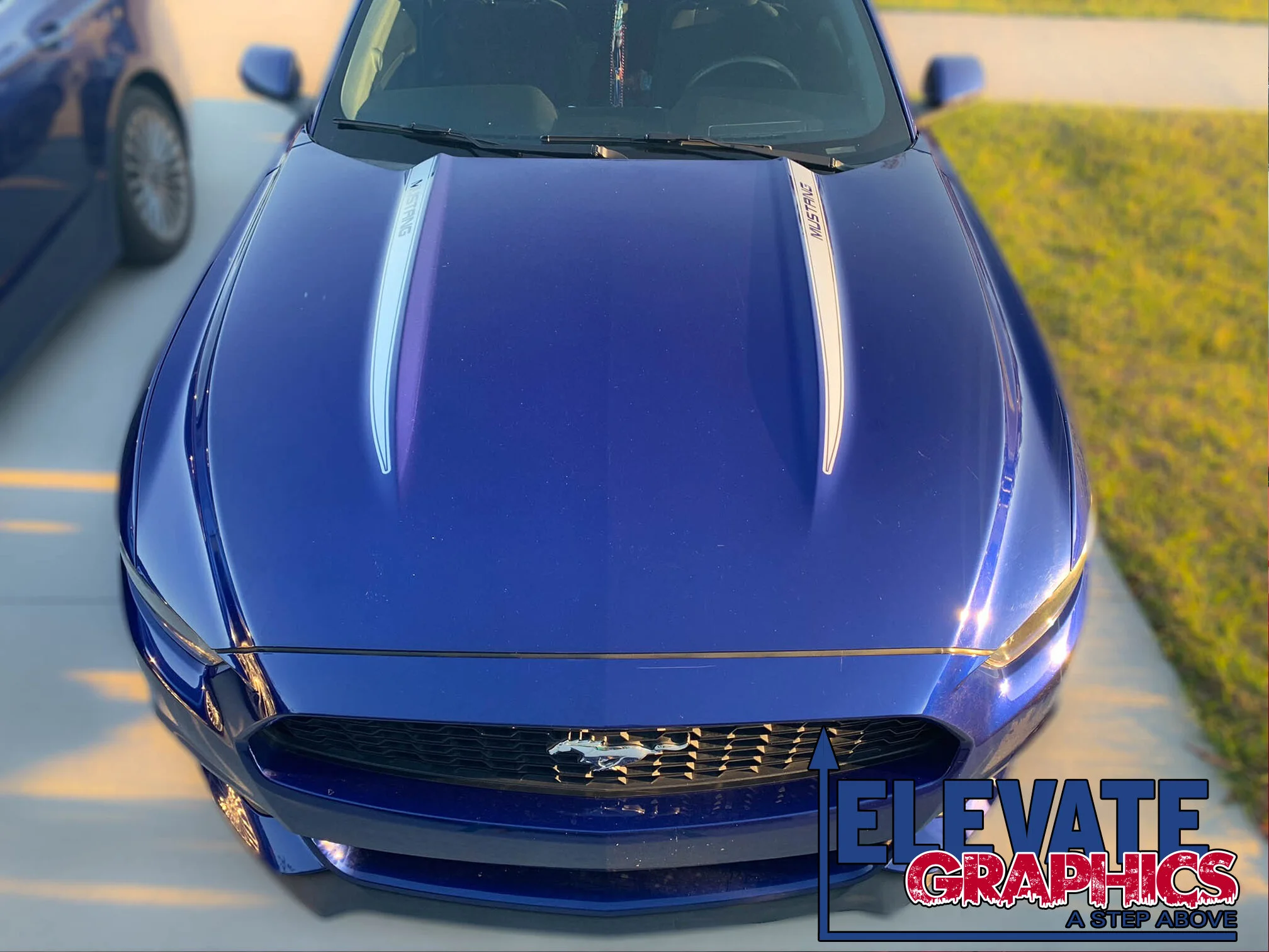 Ford Mustang Hood Spears Stripes: Auto Vinyl Graphics 3M Decals And OEM ...