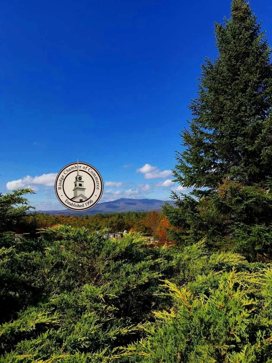 Newsletters — Rindge Chamber of Commerce