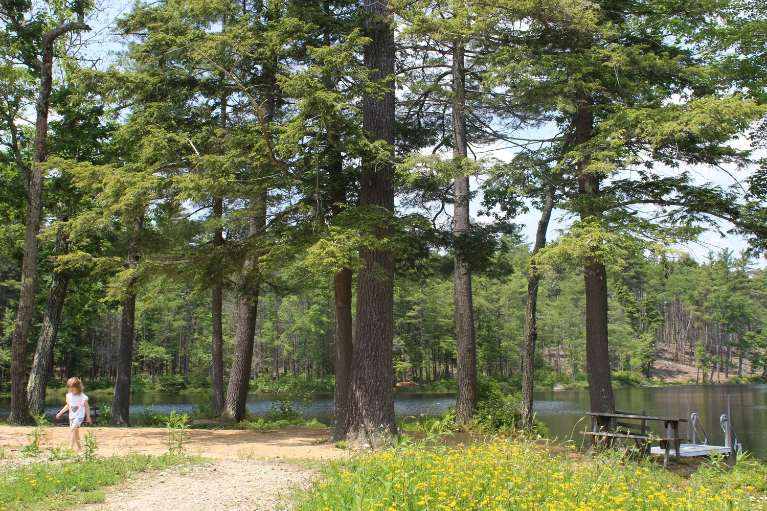 The Rindge Chamber of Commerce
